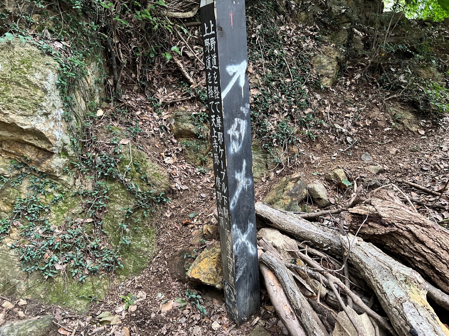 Tanmo Minoさんの投稿したフィールドメモ | YAMAP / ヤマップ