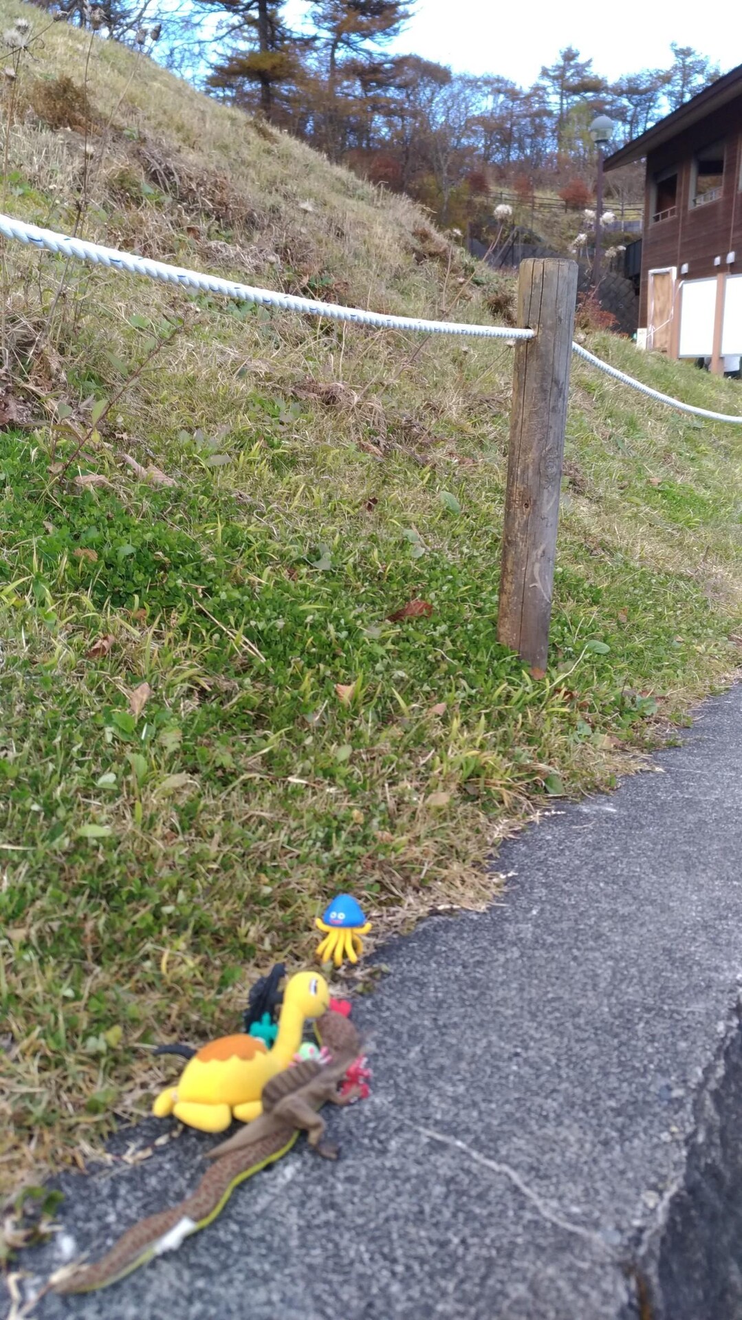 シュレプニルの初陣⛰️ / Tonaeさんのヤマノススメ巡礼マップ（赤城山・地蔵岳）の活動データ | YAMAP / ヤマップ