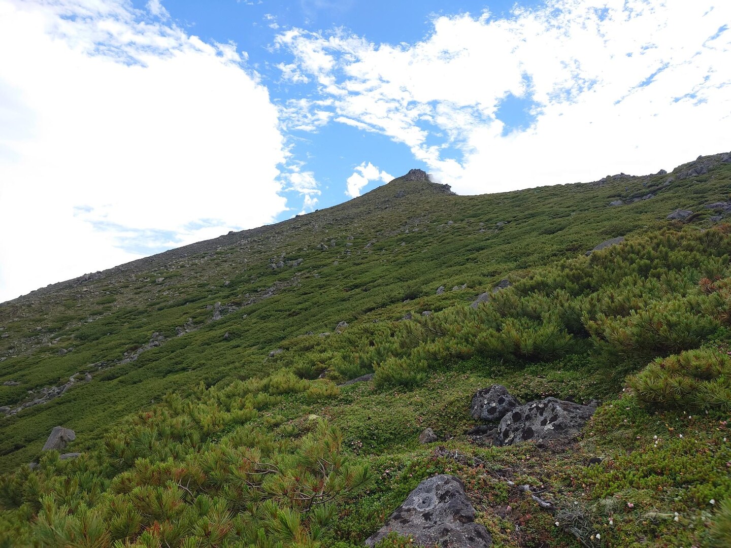 美瑛岳 / ゆうちゃんさんのGT3 3の活動データ | YAMAP / ヤマップ