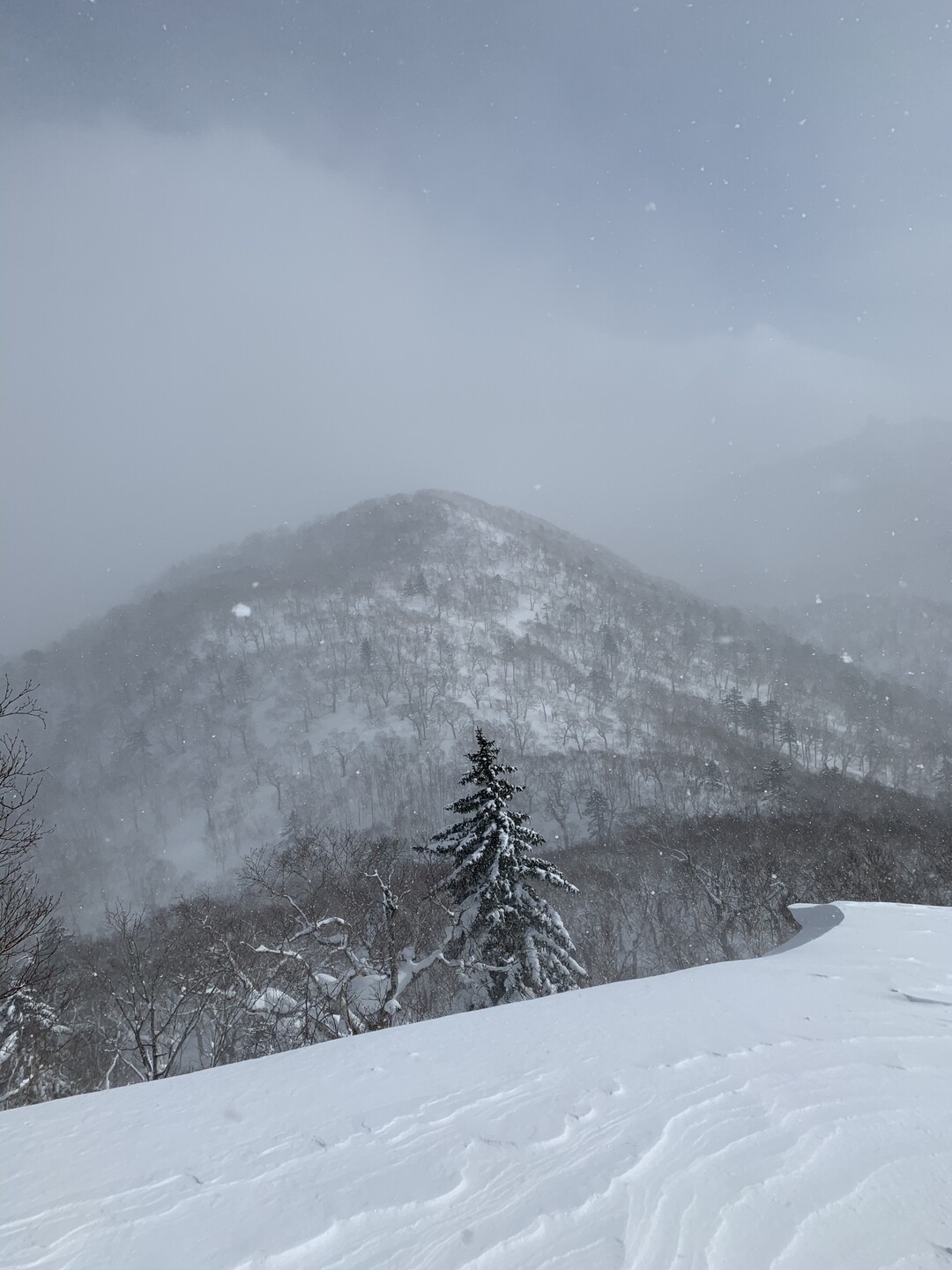 漁岳 / rurutetuさんの漁岳の活動データ | YAMAP / ヤマップ