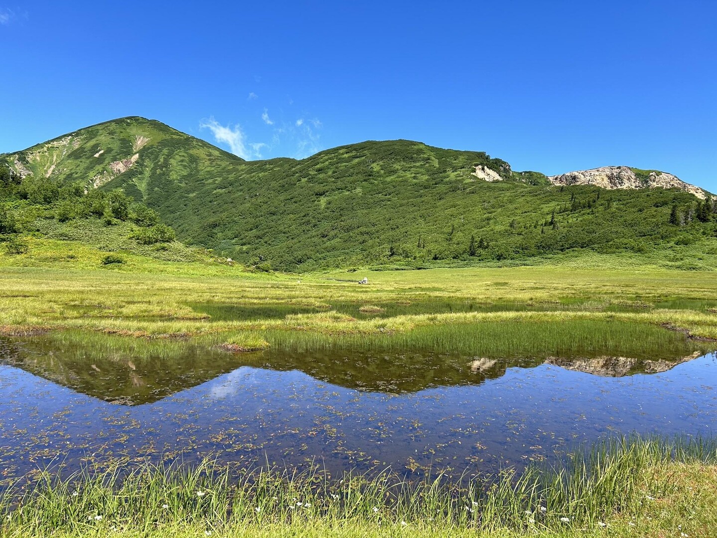 火打山 / tomtomさんの妙高山・火打山の活動データ | YAMAP / ヤマップ
