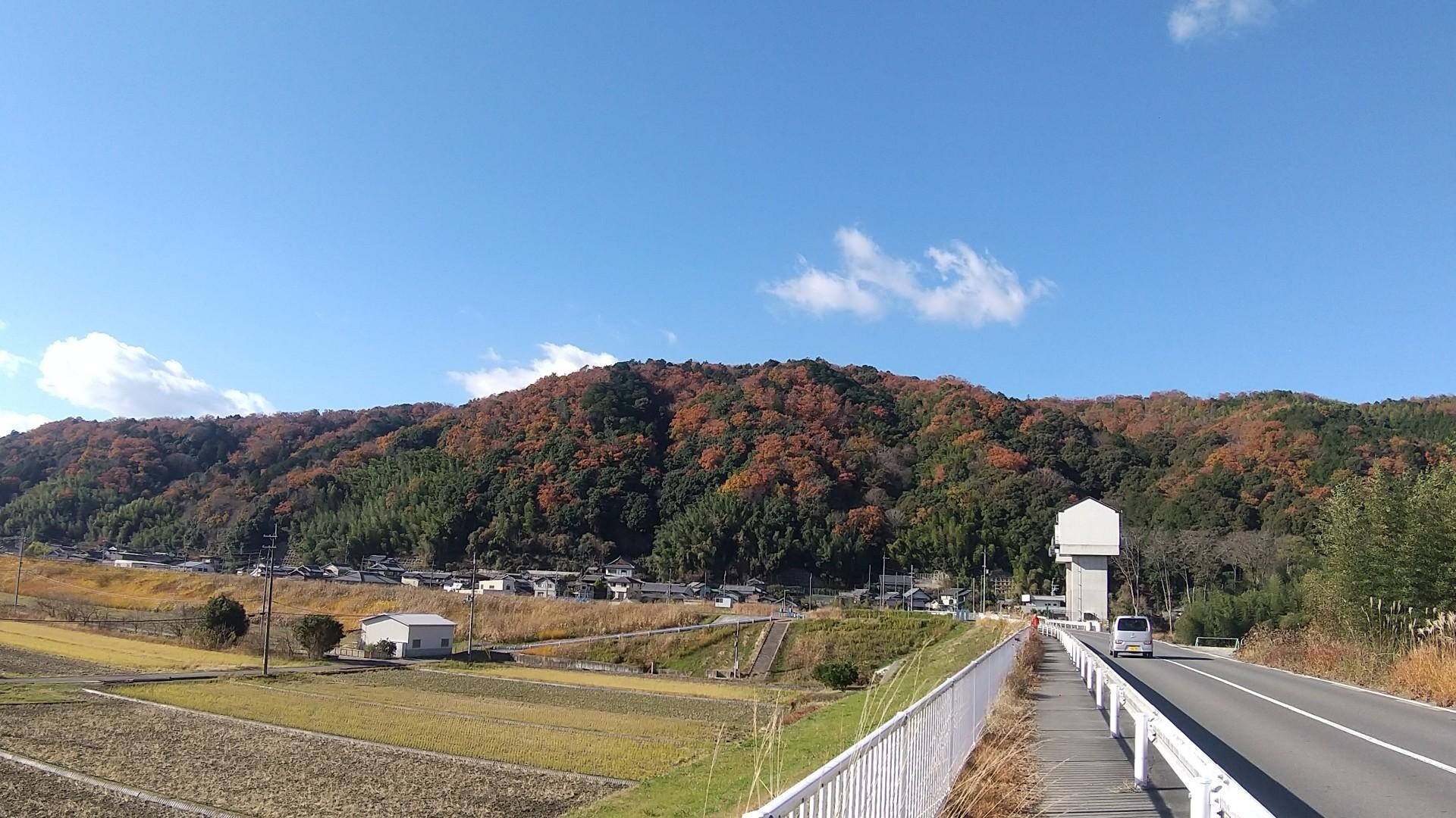 大野山・観音寺山～鹿背山城跡 / Howardさんの三上山・大焼山の活動データ | YAMAP / ヤマップ