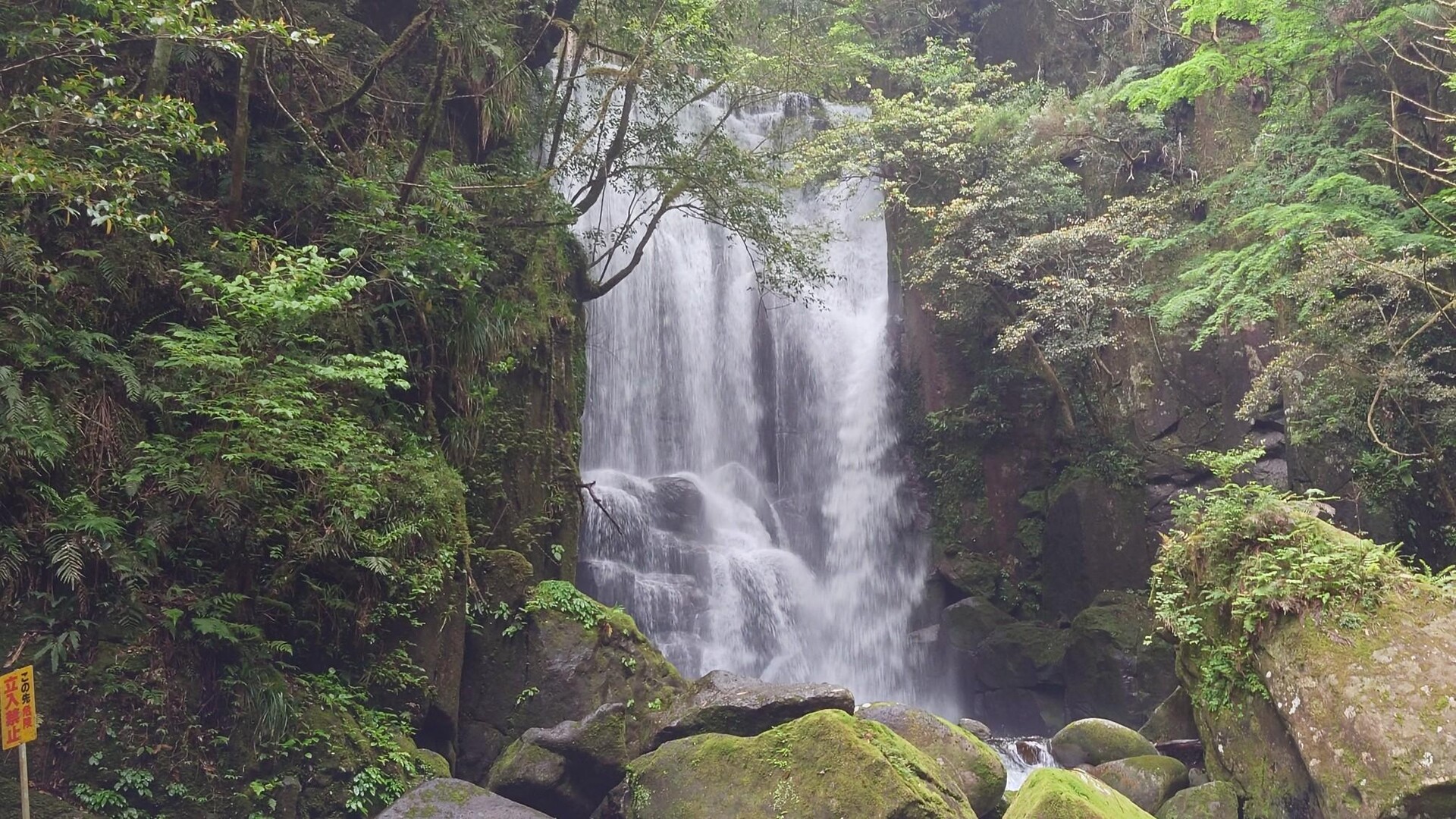 桑ノ木滝 / tutuさんのウォーキングの活動データ | YAMAP / ヤマップ