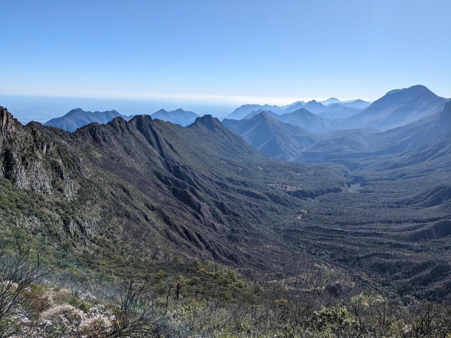 Puerto la Papa / Da4zhao3さんのウォーキングの活動データ | YAMAP / ヤマップ