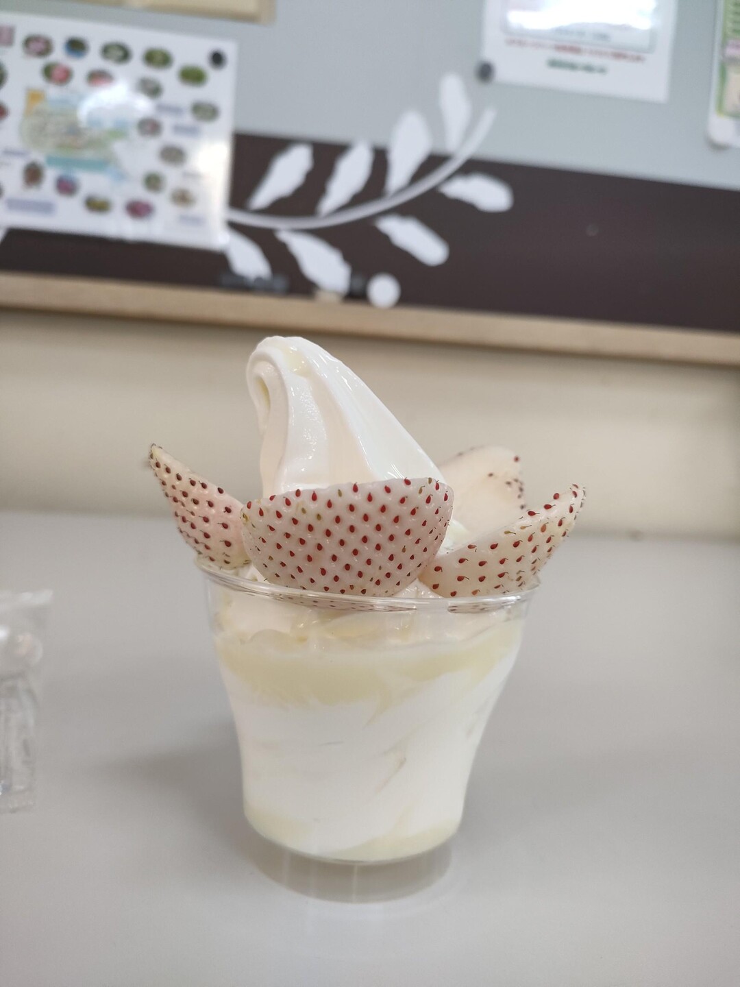 東谷山 / mocchiさんの春日井三山・弥勒山・大谷山・道樹山の活動データ | YAMAP / ヤマップ