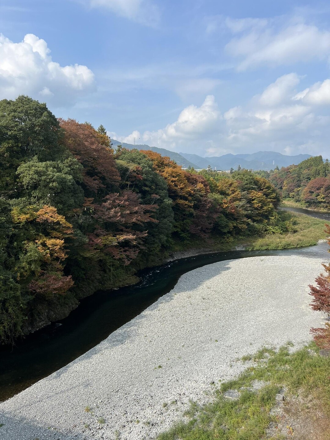 赤ぼっこ / Maa-shiさんの赤ぼっこの活動データ | YAMAP / ヤマップ
