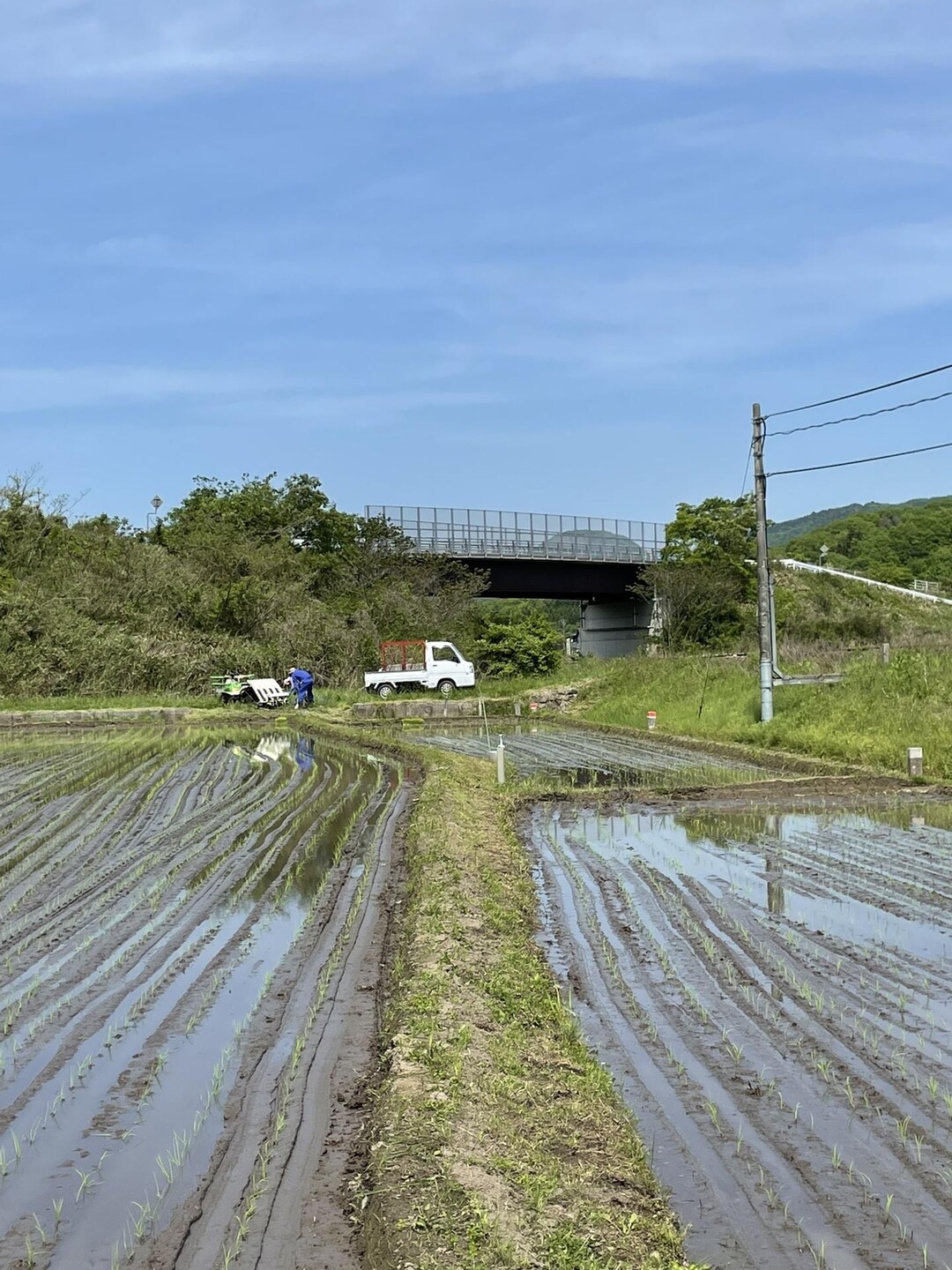 今年も無事田植えが終わりました 我が家の... / むちぴりかさんのモーメント | YAMAP / ヤマップ