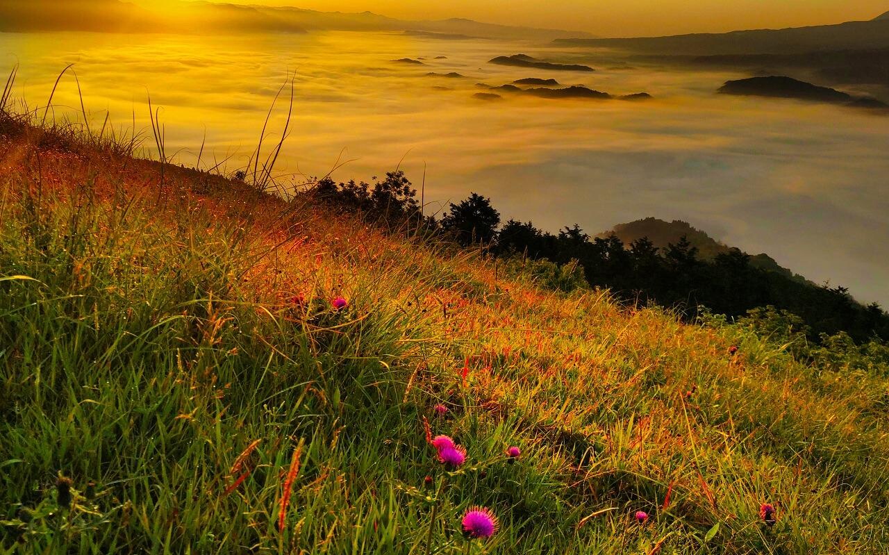 五月晴れの夜明け魚野・・花と茜 雲海は心... / sin358さんのモーメント | YAMAP / ヤマップ