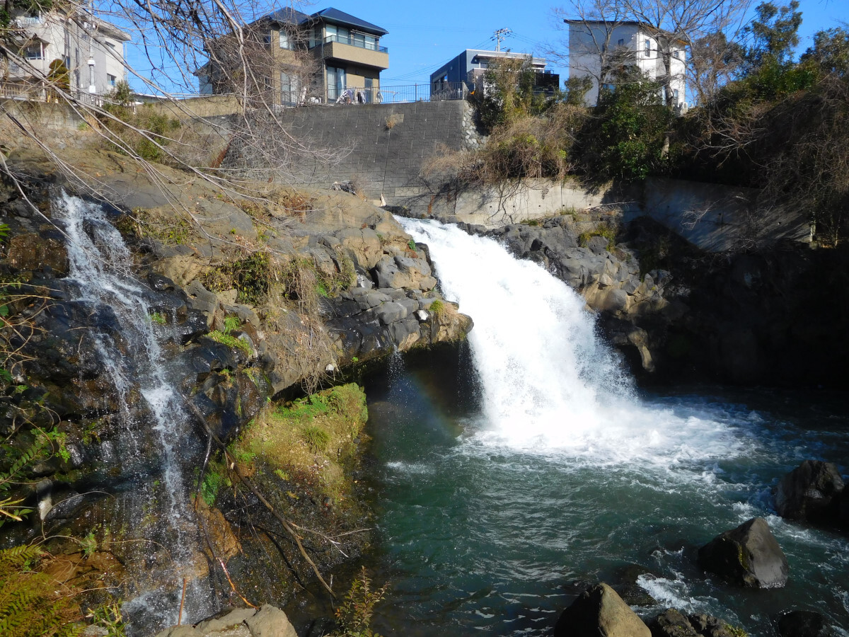 ウォーキング-2021-01-29 / kumomaさんのウォーキングの活動データ | YAMAP / ヤマップ