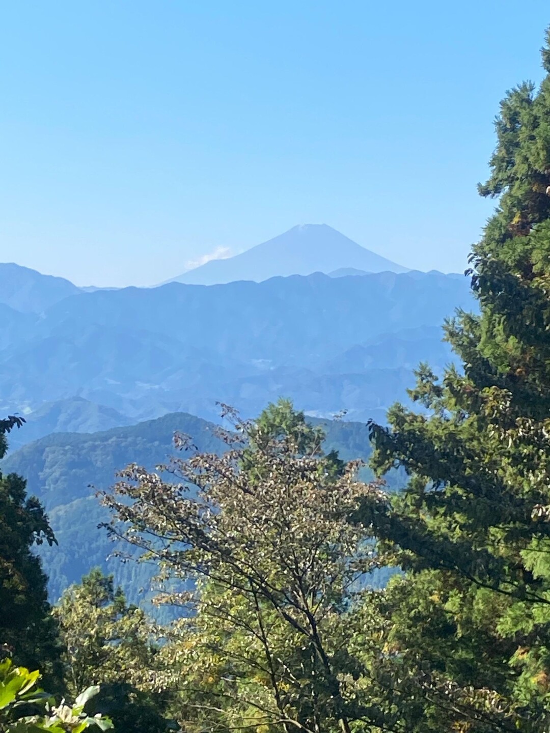 478m圏峰・大久保山・景信山・城山(小仏城山)・雷岩山・春日山 / セニョール大谷さんの高尾山・陣馬山・景信山の活動データ | YAMAP / ヤマップ