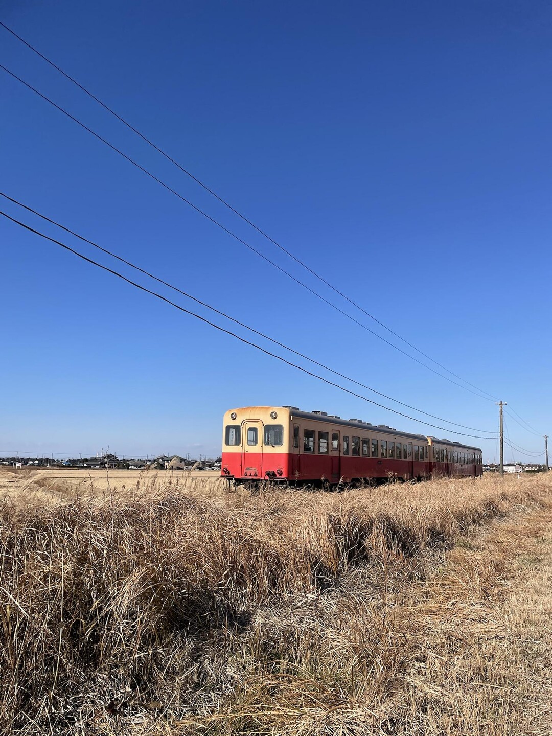 【第2回】小湊鐵道さと山ウォーク1区(五井駅〜海士有木駅) / Jinさんの千葉市の活動データ | YAMAP / ヤマップ