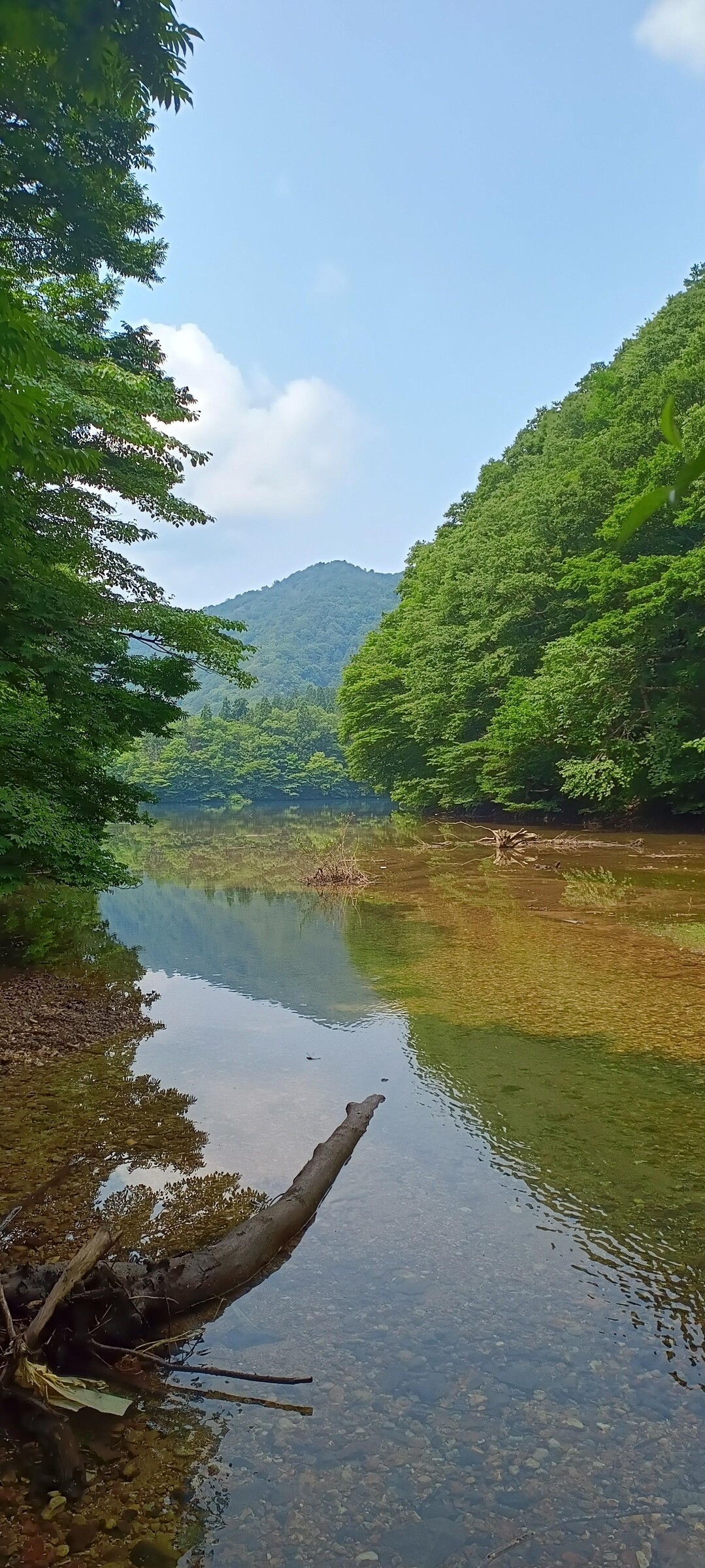 2024/07/15 夏瀬ダム カヤッ... / EMMAさんのモーメント | YAMAP / ヤマップ