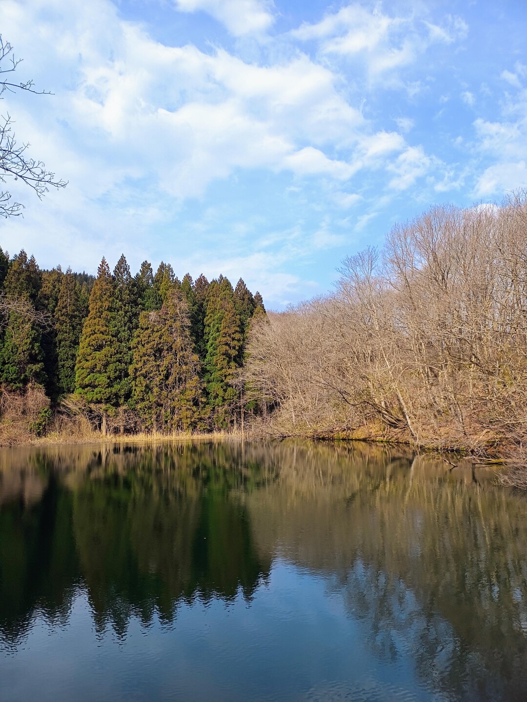 高尾山、太平薬師 / EMMAさんの大平薬師・高尾山の活動データ | YAMAP / ヤマップ