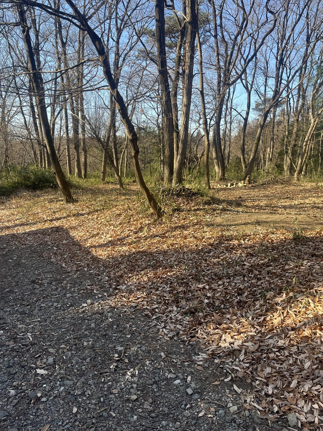 spee のページ | YAMAP / ヤマップ