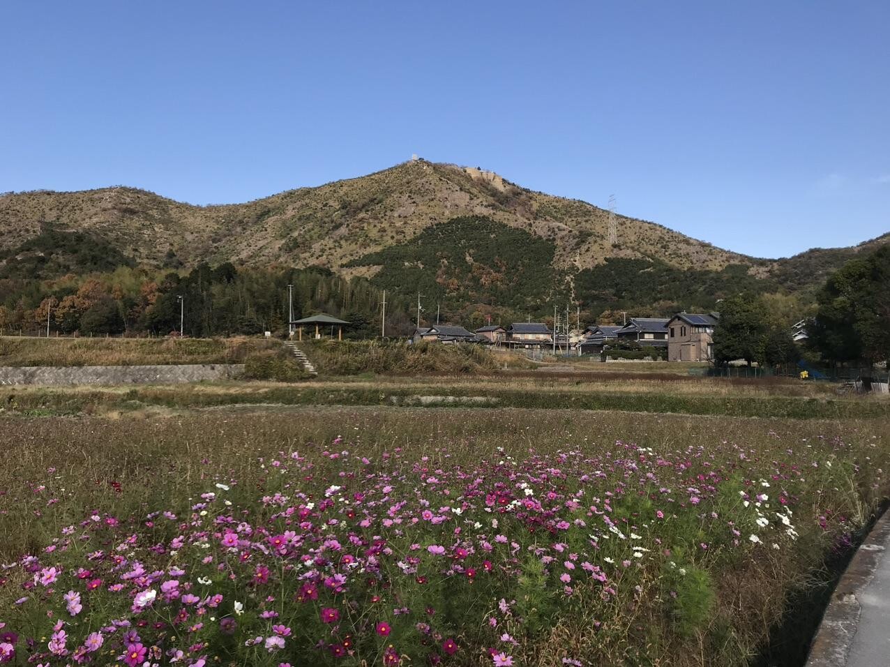 黒猫クーのページ | YAMAP / ヤマップ