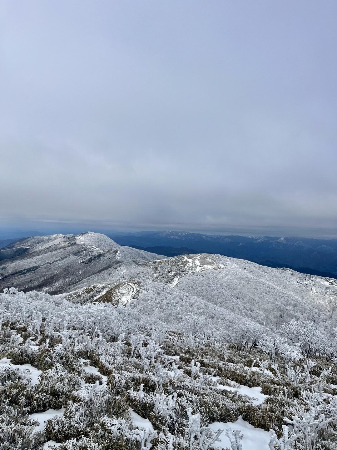 のんびり那岐山 / RUBYさんの那岐山・滝山・広戸仙の活動データ | YAMAP / ヤマップ