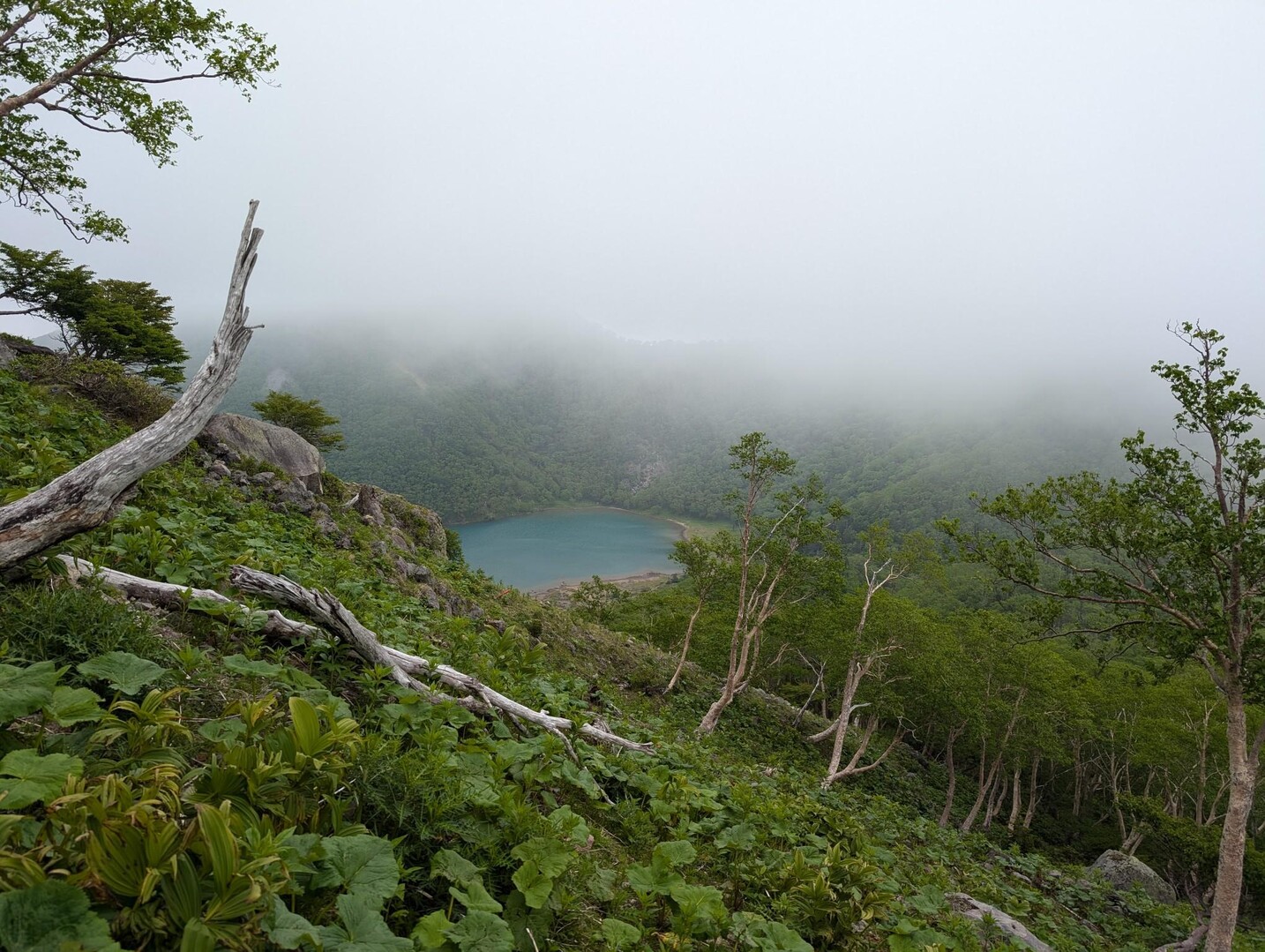 日光白根山 / se-2さんの日光白根山・五色山・錫ヶ岳の活動データ | YAMAP / ヤマップ