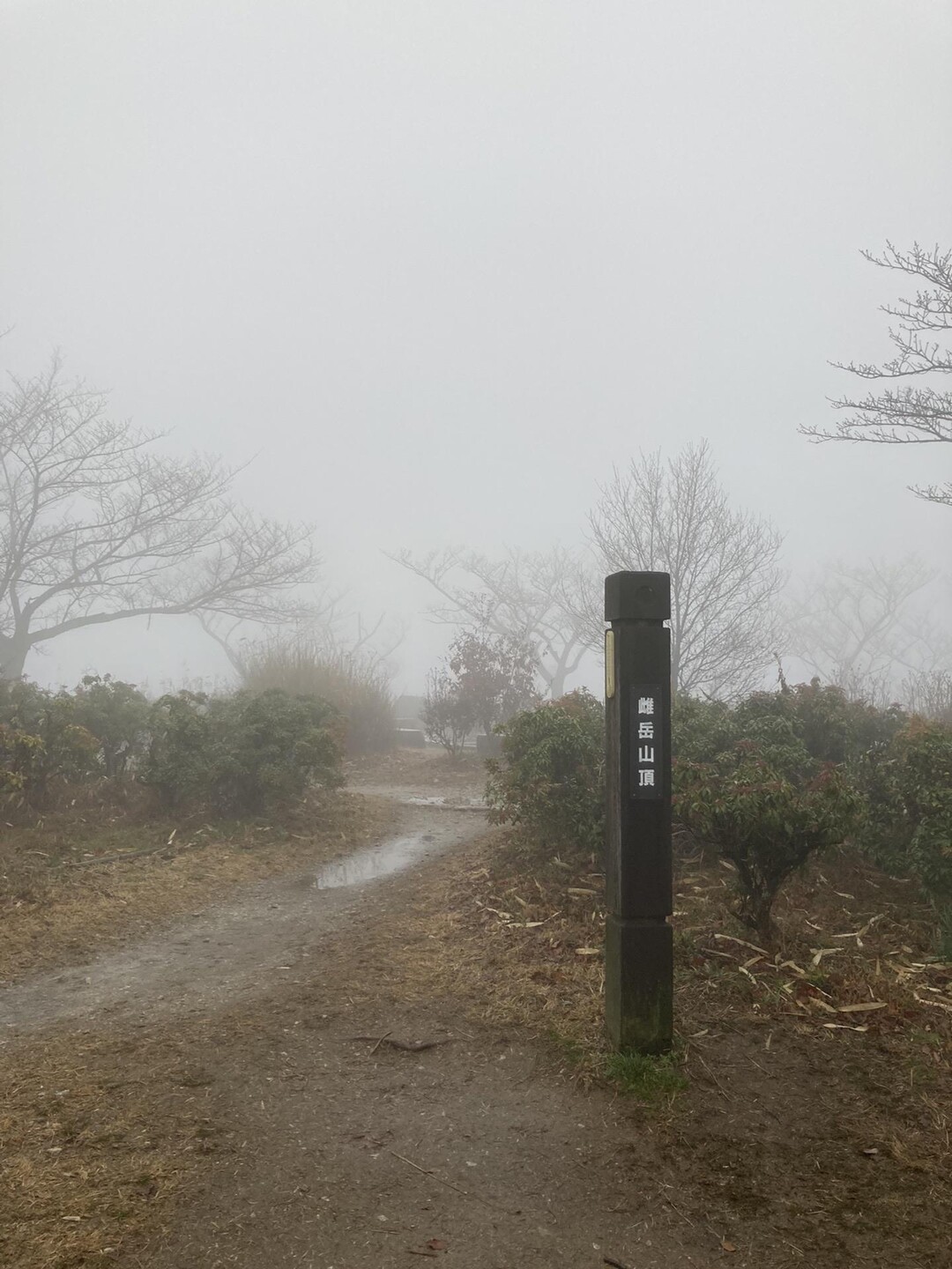 二上山（雌岳） / Hiro-sanさんの金剛山・二上山・大和葛城山の活動データ | YAMAP / ヤマップ