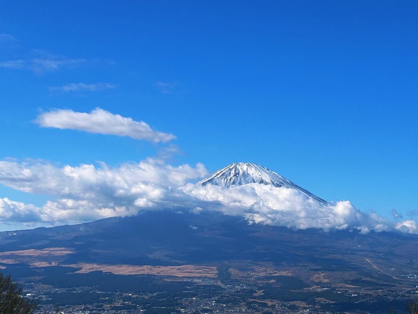 金時山 ~二度目の研修登山~ / tea_thank you さんの金時山・明神ヶ岳の活動データ | YAMAP / ヤマップ