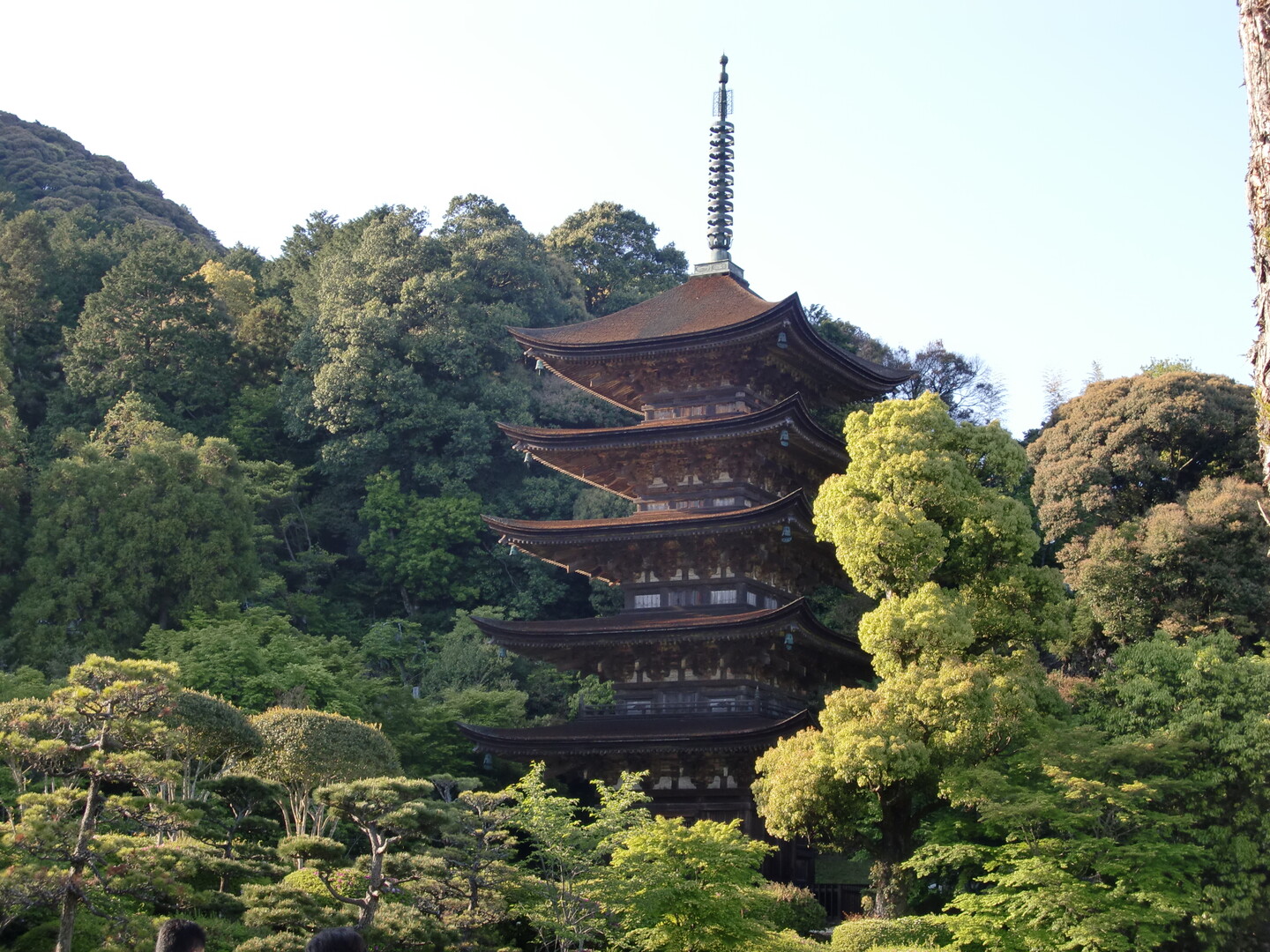 萩往還(25th)_250km / tsumoさんのランニングの活動データ | YAMAP / ヤマップ