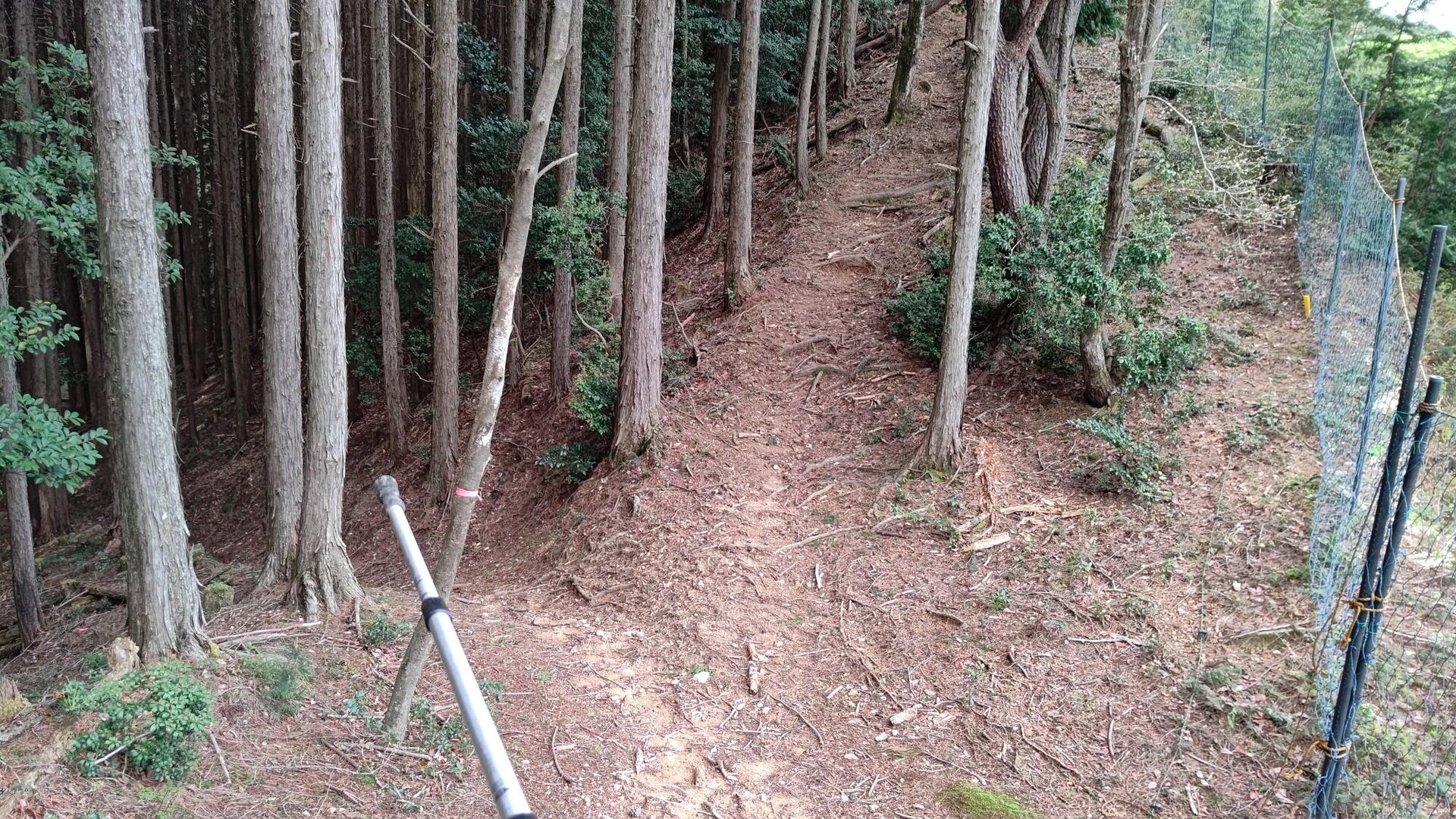 ypkun.さんの投稿したフィールドメモ | YAMAP / ヤマップ