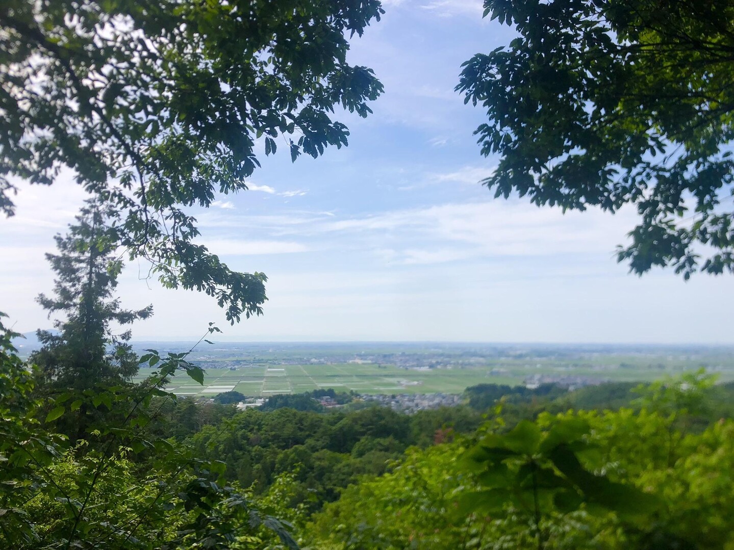 第73話・情けない。 / Naluさんの菩提寺山・高立山・護摩堂山の活動データ | YAMAP / ヤマップ