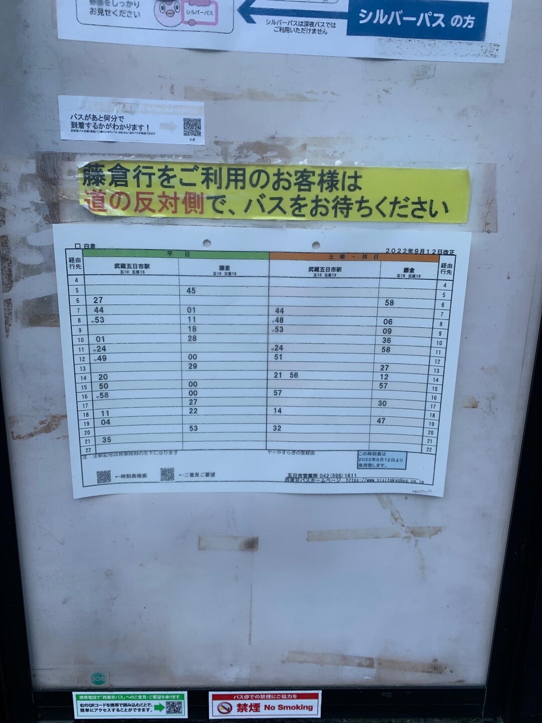 chaさんの投稿したフィールドメモ | YAMAP / ヤマップ