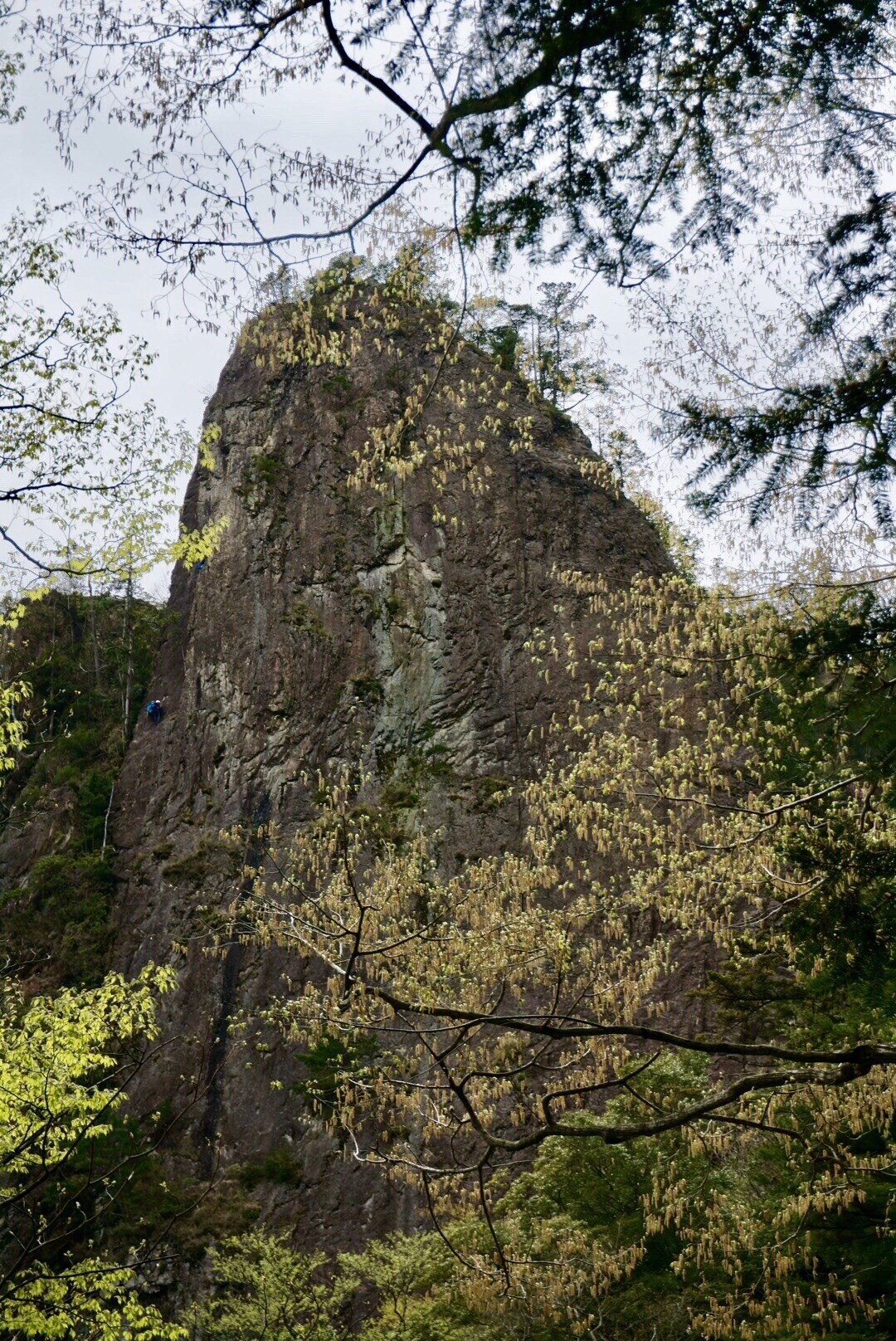 一人で行く雪彦山-2019-04-28 / HIGE（SOU）さんの雪彦山の活動日記 | YAMAP / ヤマップ