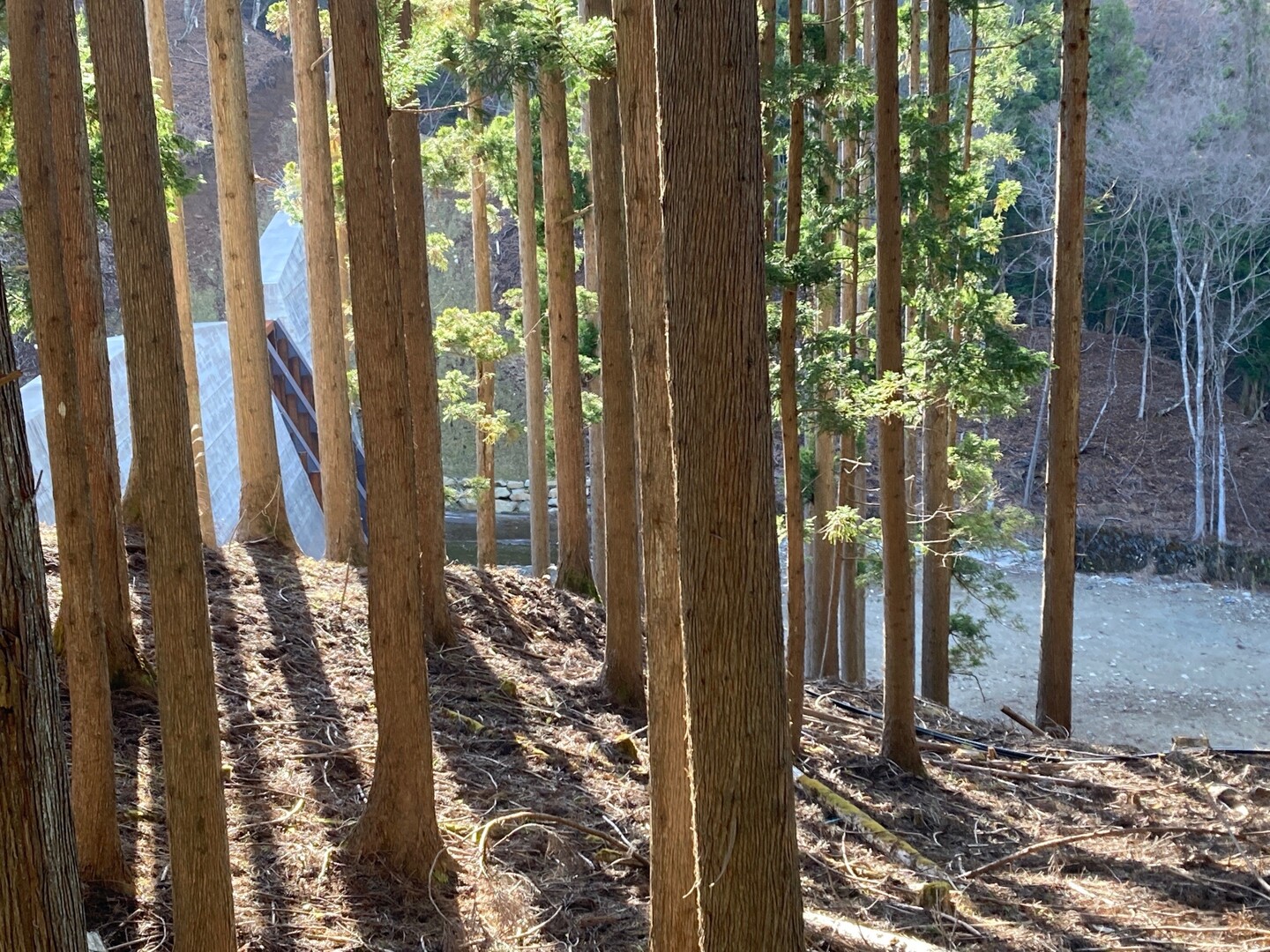 gar!さんの投稿したフィールドメモ | YAMAP / ヤマップ