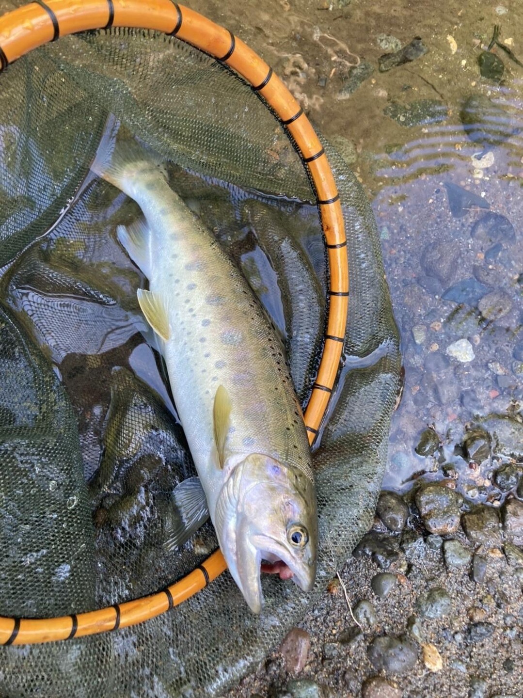9月1日日曜日登山に行こうと出発したけど... / masayanさんのモーメント | YAMAP / ヤマップ