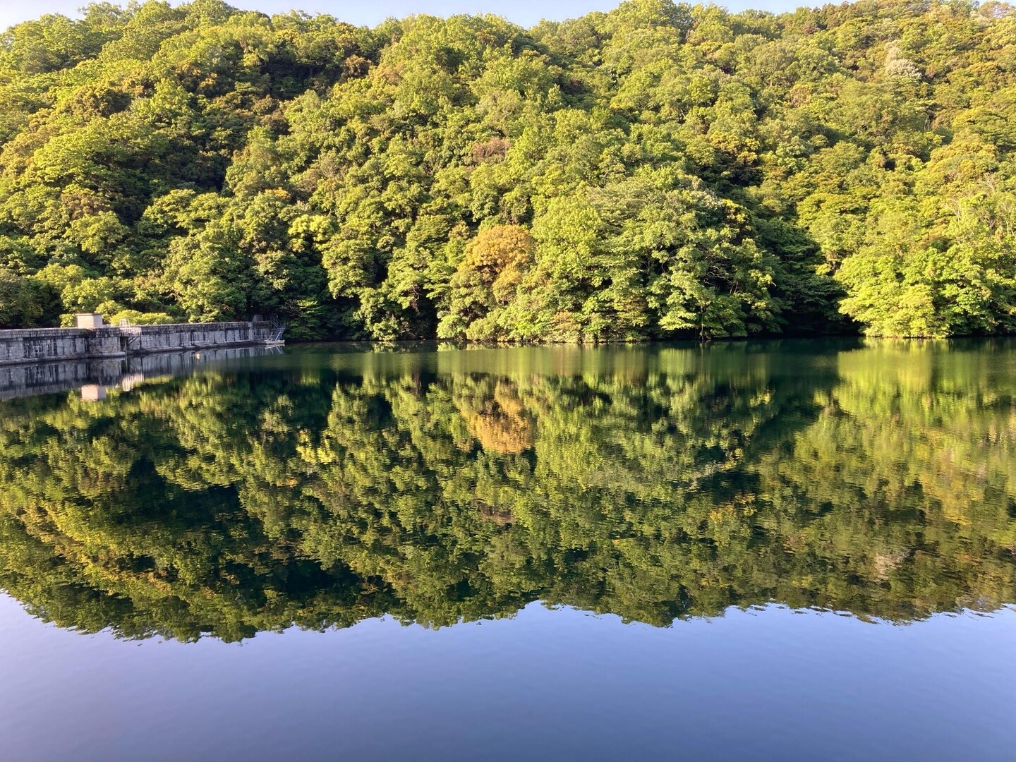 朝の六甲山ウォーキング / Yasutadaさんの六甲山・長峰山・摩耶山の活動データ | YAMAP / ヤマップ