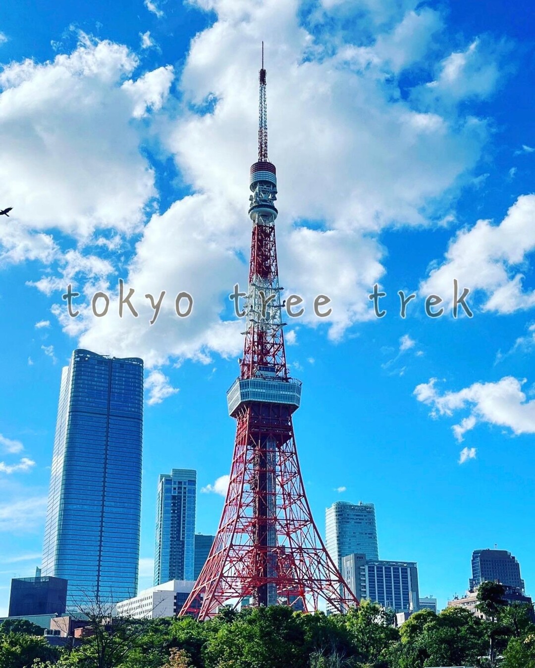 TTT ( Tokyo Tree Trek )コンプリート！ / せんちょうさんのTokyo Tree Trek (Section 1)の活動データ | YAMAP / ヤマップ