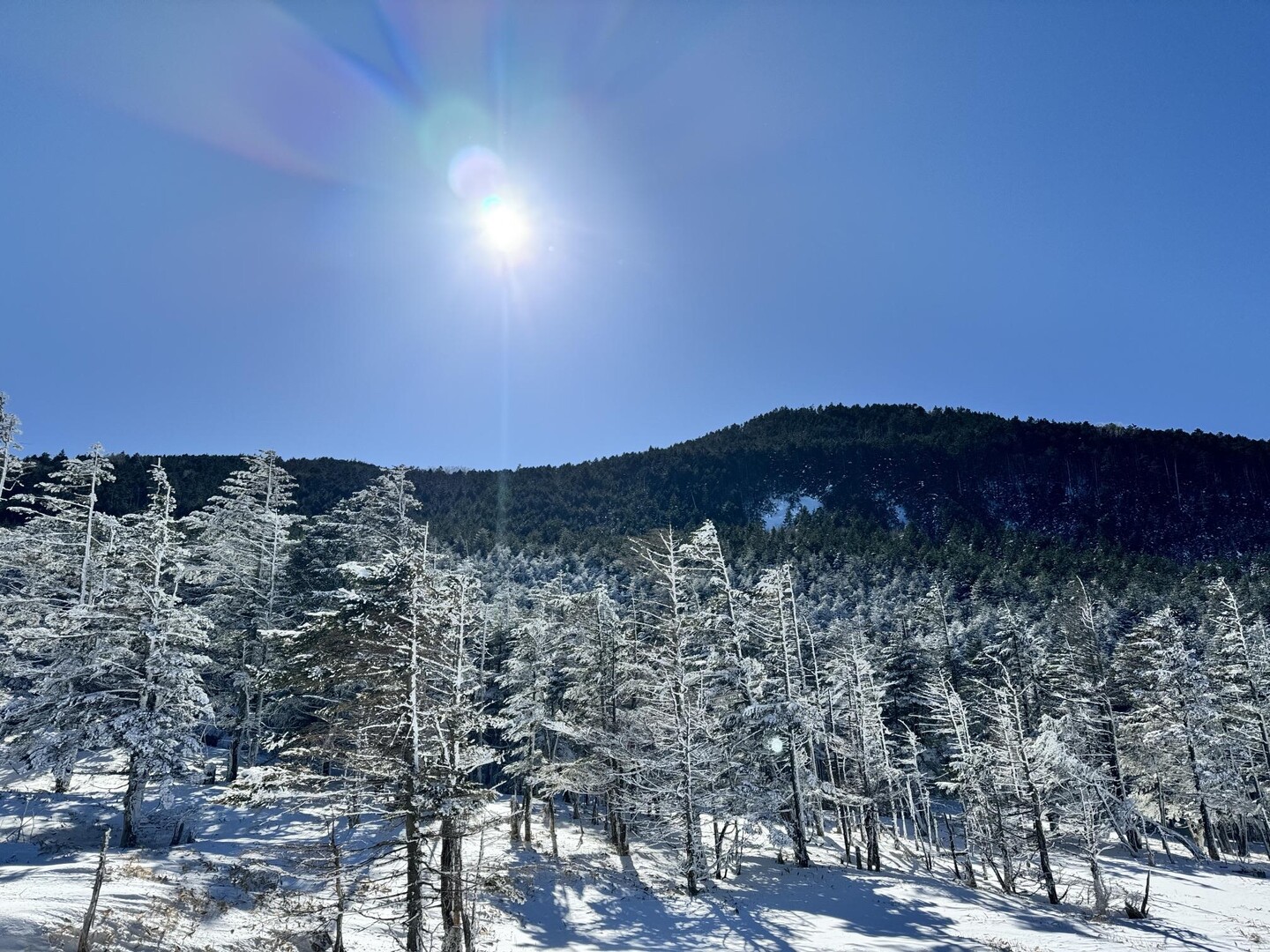 スノーシュー 蓼科山・横岳・縞枯山-2024-01-14 / TR SWさんの蓼科山・横岳・縞枯山の活動データ | YAMAP / ヤマップ
