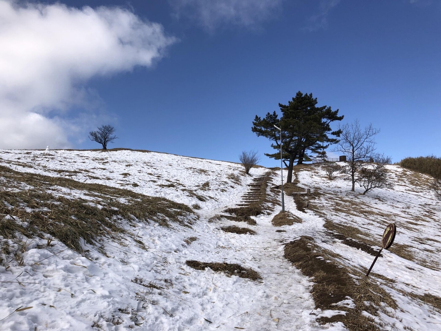 大和葛城山 / HiHiAさんの金剛山・二上山・大和葛城山の活動データ | YAMAP / ヤマップ