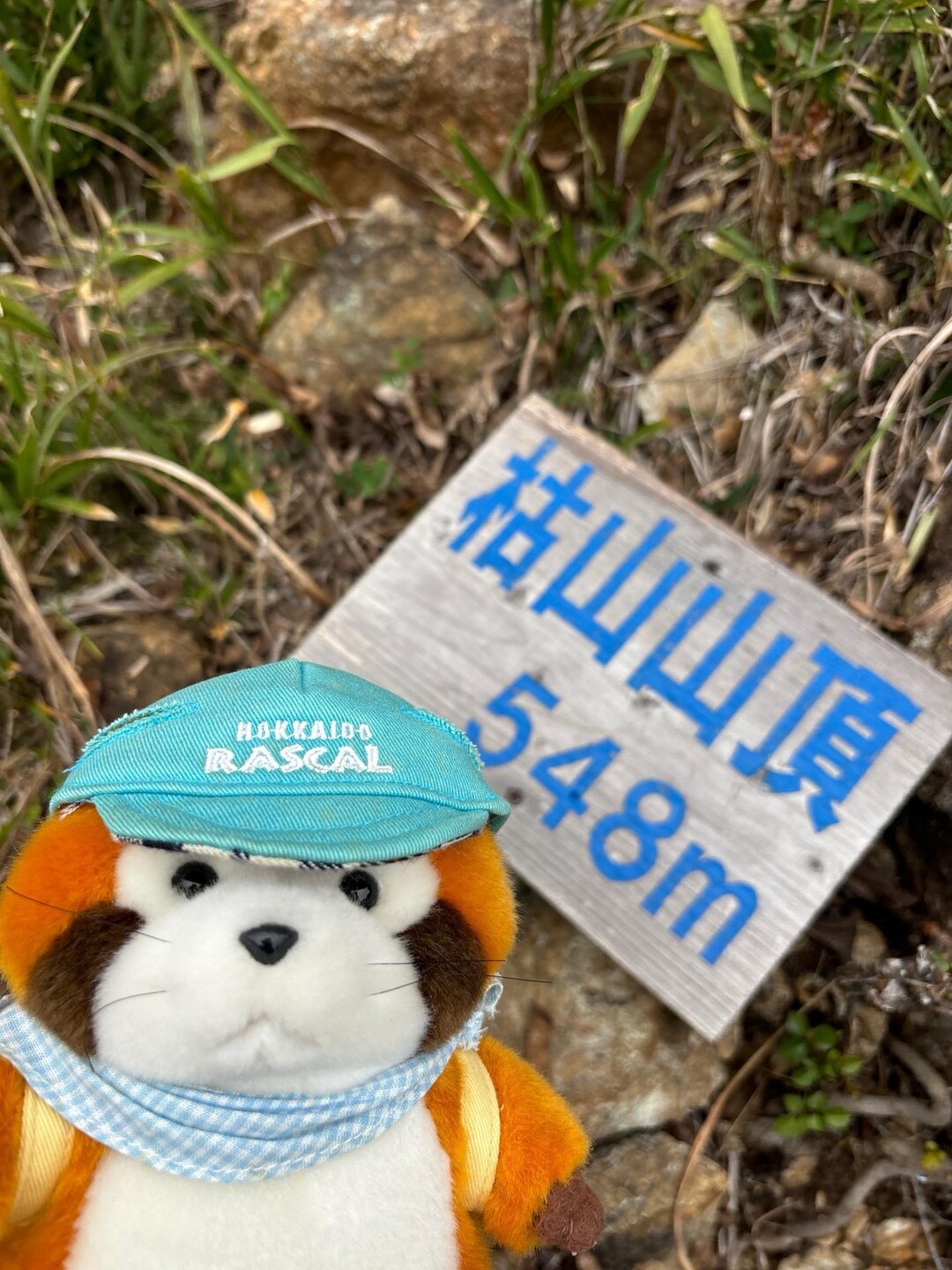 枯山 / tokoさんの鳶ノ巣山の活動データ | YAMAP / ヤマップ