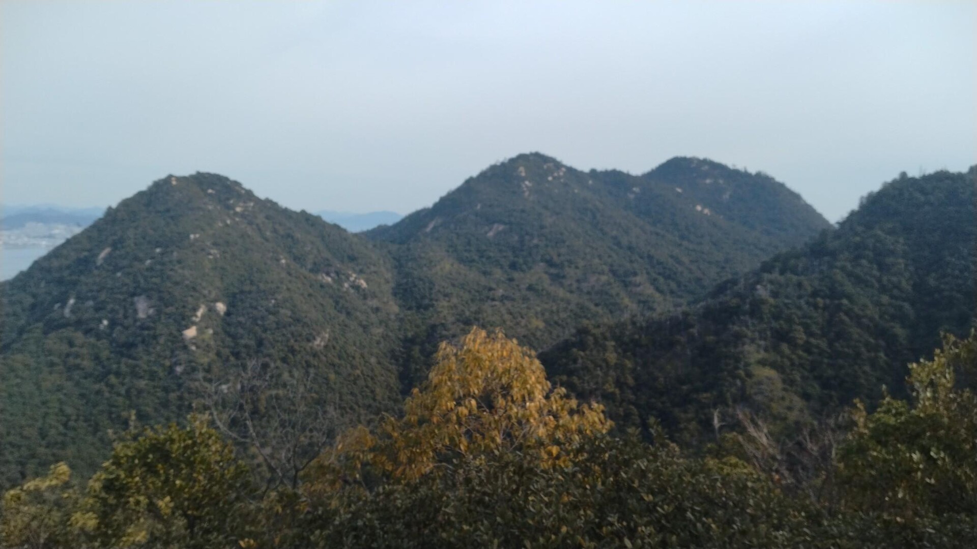 室浜山・三ツ丸子・大江の貝塚・大江浦 / Y、ODさんの宮島（厳島）・弥山の活動日記 | YAMAP / ヤマップ