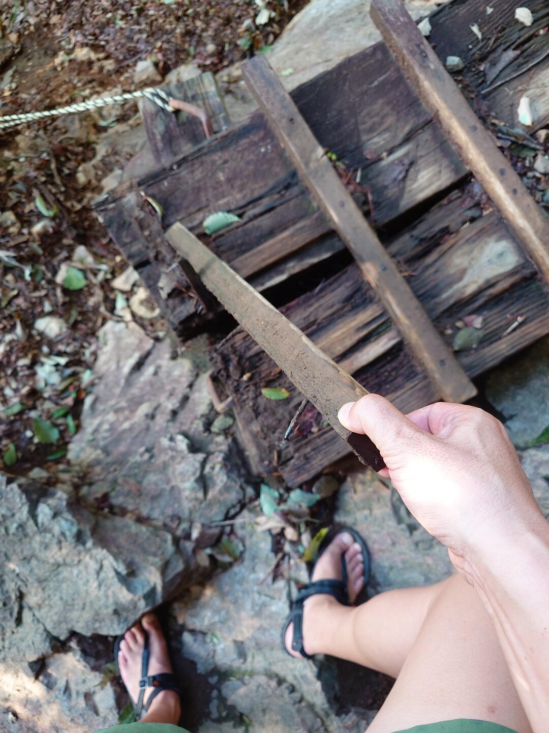 登山道整備44回目 / ta2さんの鳴神山・吾妻山の活動データ | YAMAP / ヤマップ