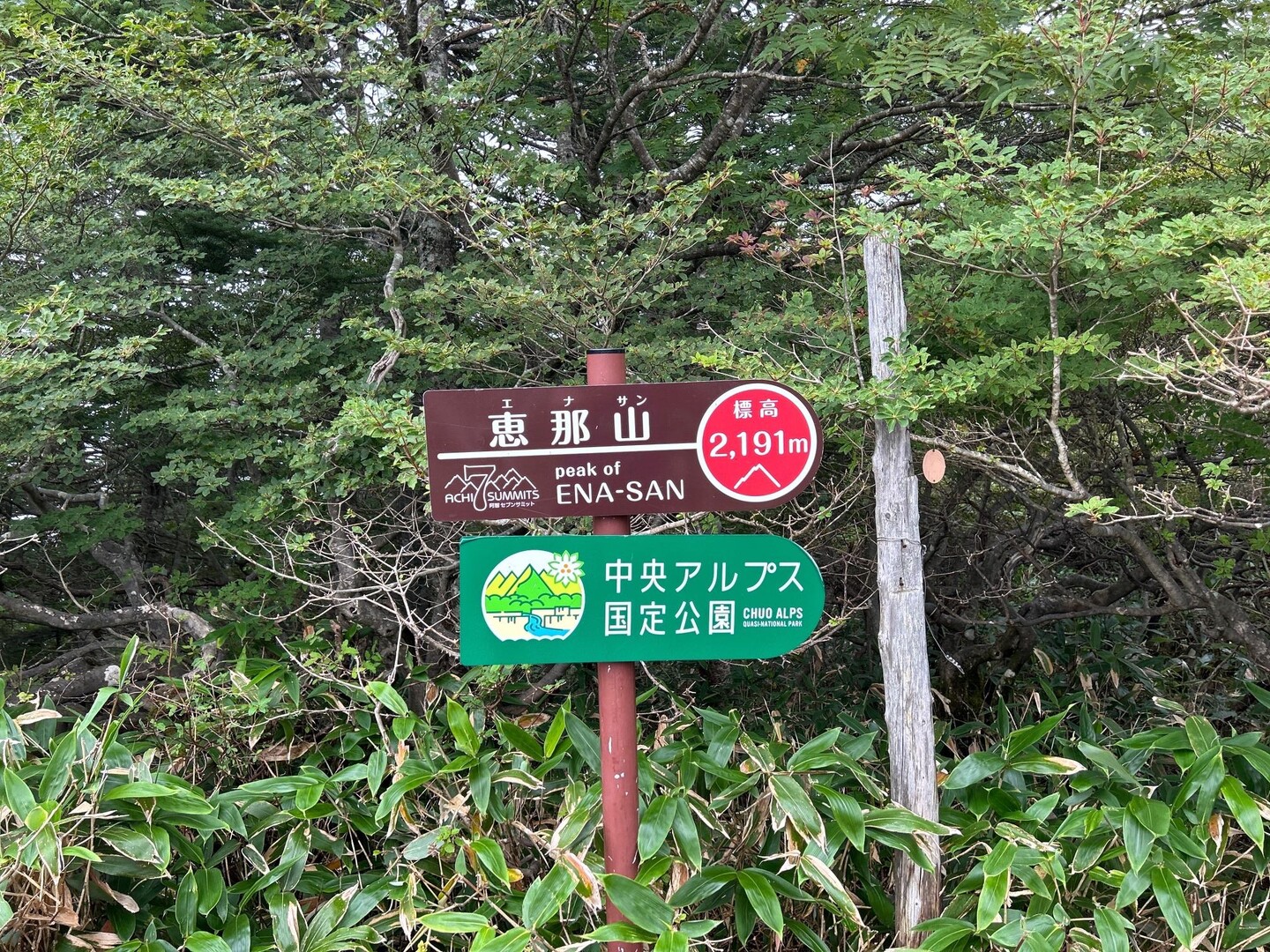 大判山・恵那山 / ヒロユキさんの恵那山・大判山・神坂山の活動データ | YAMAP / ヤマップ