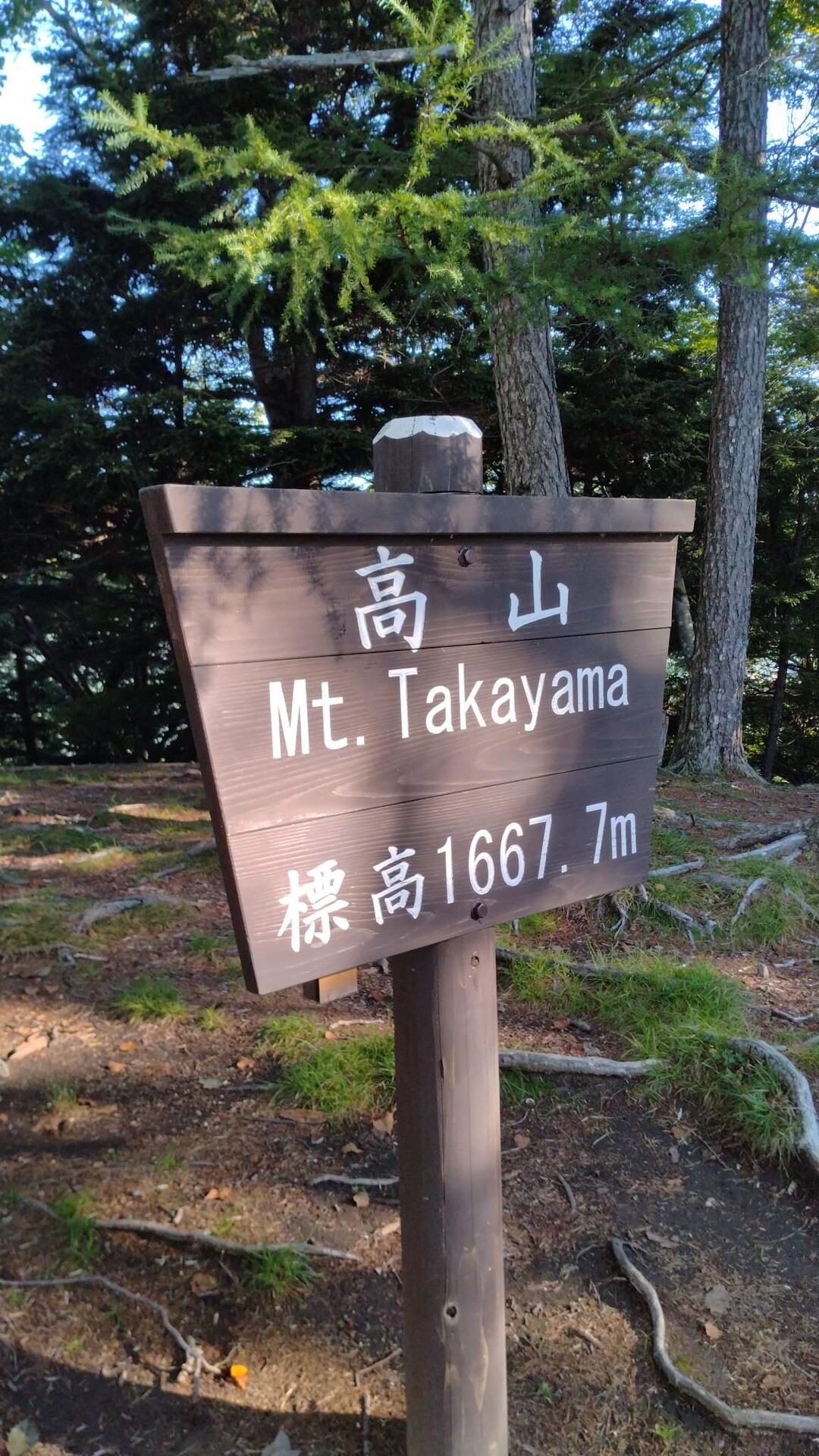 高山 / type52さんの社山・半月山の活動データ | YAMAP / ヤマップ