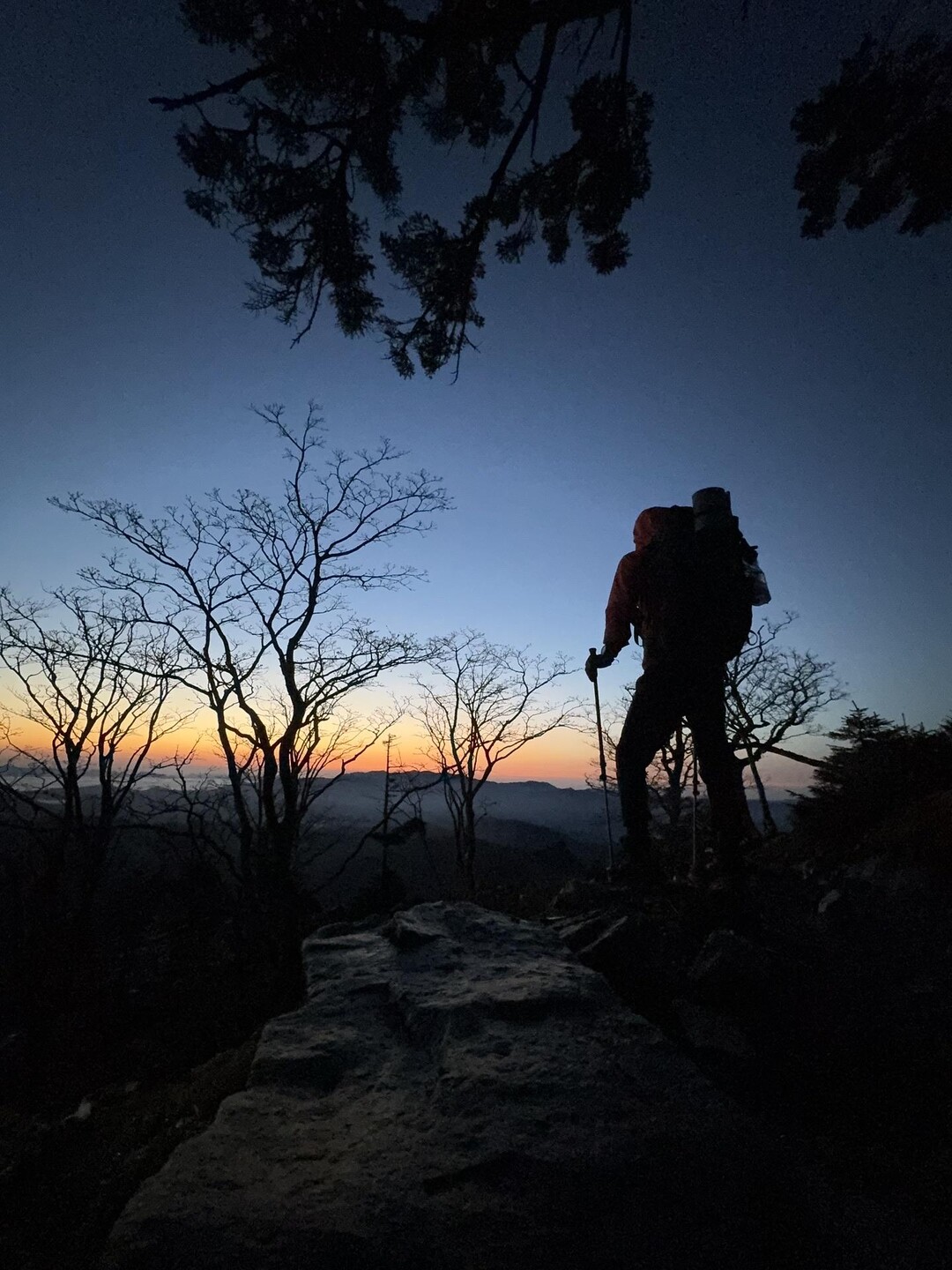 発狂型系。 / yskさんの八経ヶ岳の活動データ | YAMAP / ヤマップ