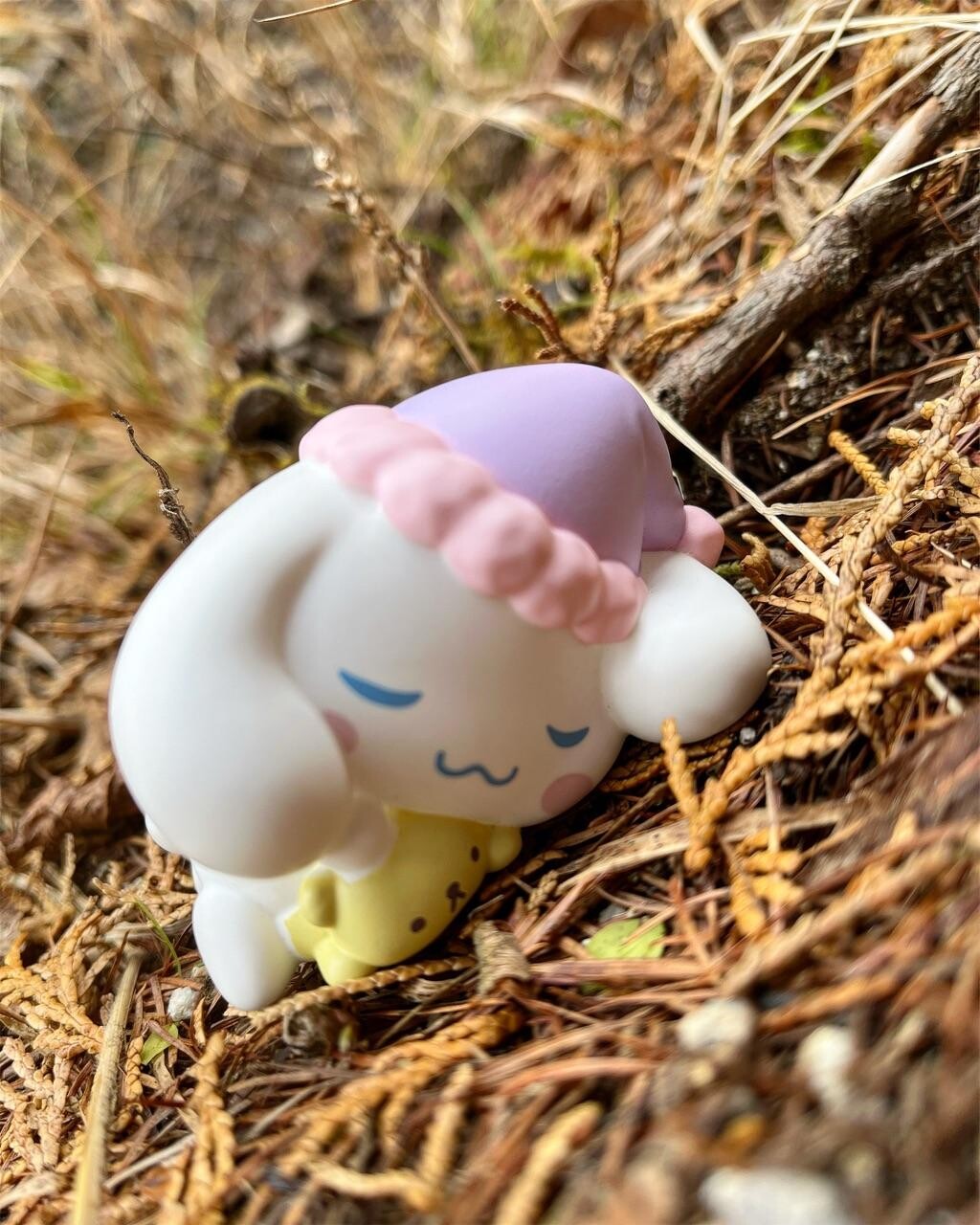 Shinamonのページ | YAMAP / ヤマップ