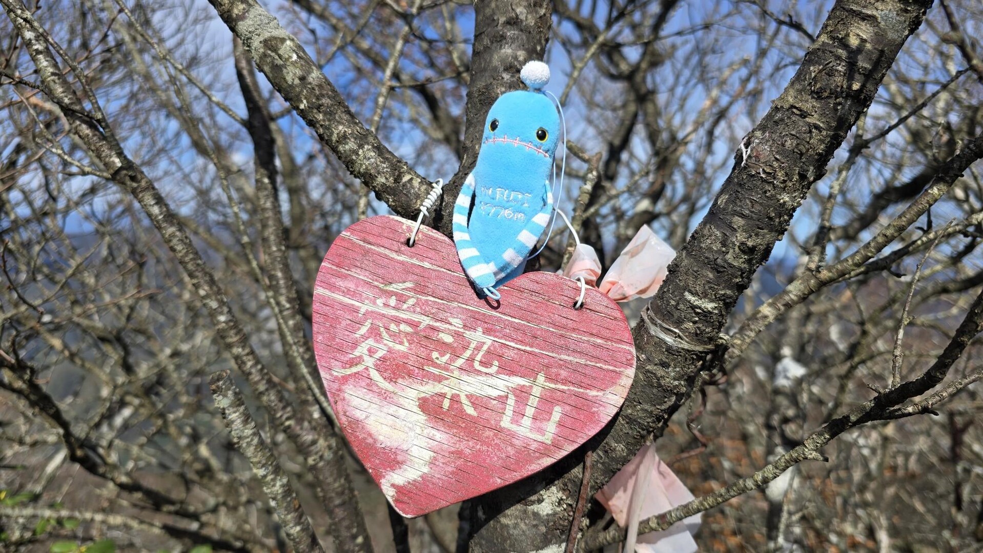 10.22 愛染山 / koke🌿さんの五葉山・愛染山の活動データ | YAMAP / ヤマップ