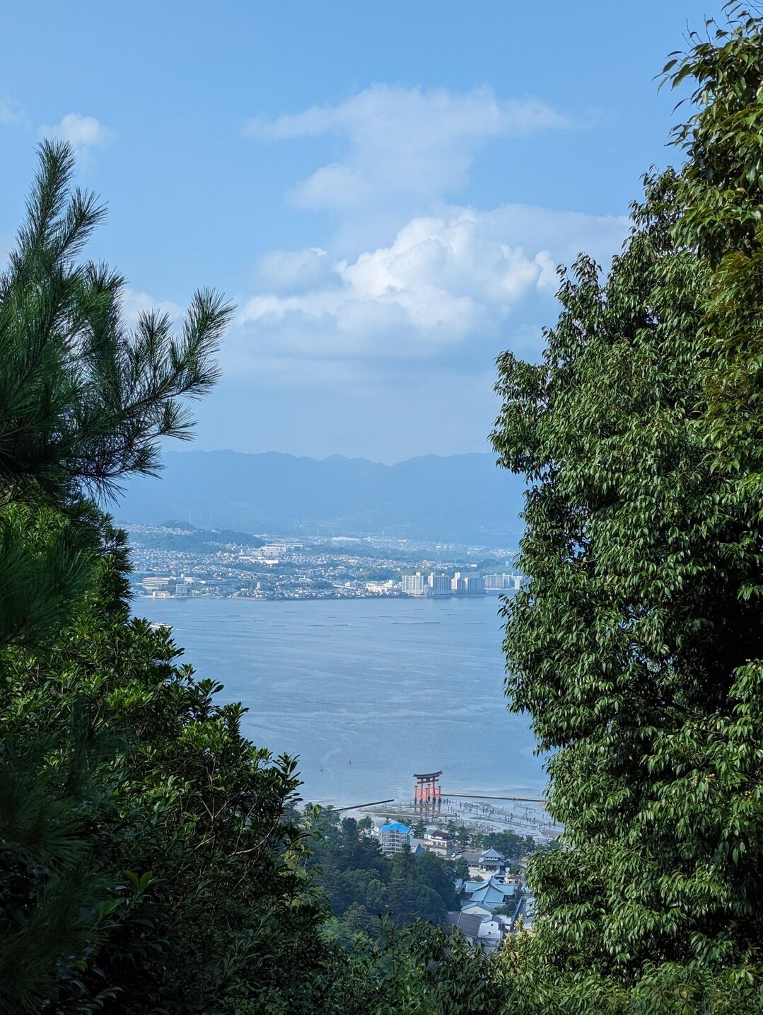 弥山（紅葉谷→大聖院ルート） / Rinaさんの宮島（厳島）・弥山の活動データ | YAMAP / ヤマップ