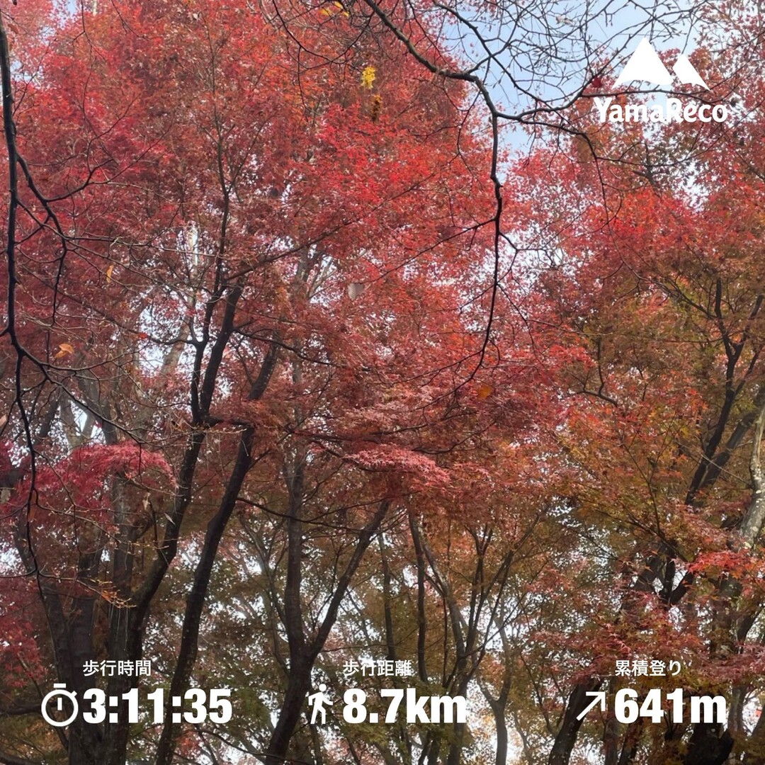 高尾山 / dK_Kbさんの高尾山・陣馬山・景信山の活動データ | YAMAP / ヤマップ