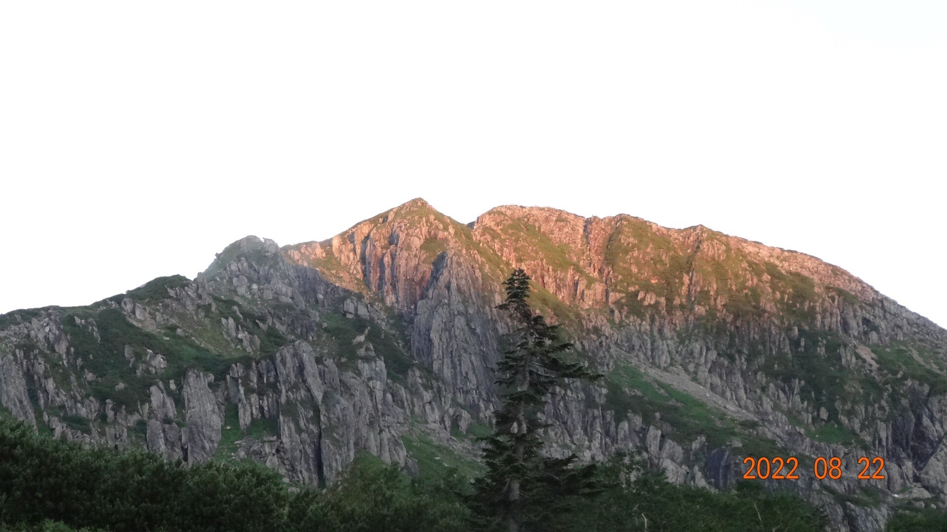 黒部源流域探訪 双六山頂直下の雷鳥一家 / kitさんの槍ヶ岳・穂高岳・上高地の活動データ | YAMAP / ヤマップ