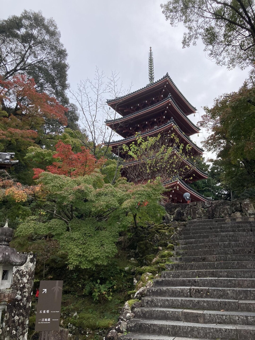 五台山・竹林寺 2022-11-19 / よしのぶさんの五台山・鉢伏山・大平山の活動データ | YAMAP / ヤマップ