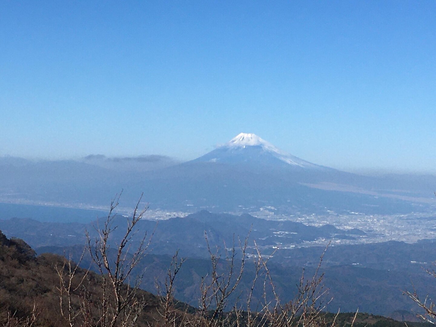万二郎岳（天城山）・万三郎岳（天城山） / えりまきさんの天城山・鉢ノ山・三筋山の活動データ | YAMAP / ヤマップ