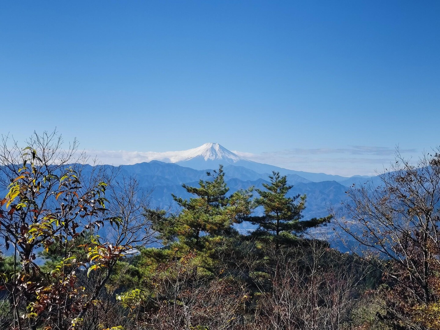 関東百名山 生藤山・陣馬山 / kooさんの生藤山の活動データ | YAMAP / ヤマップ