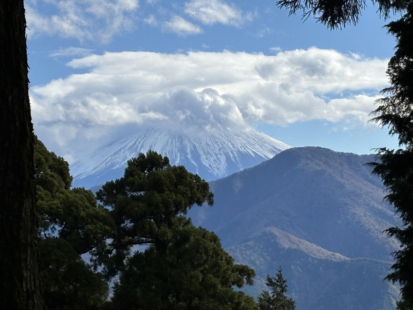 身延山 / RUTSUさんの七面山・身延山の活動データ | YAMAP / ヤマップ