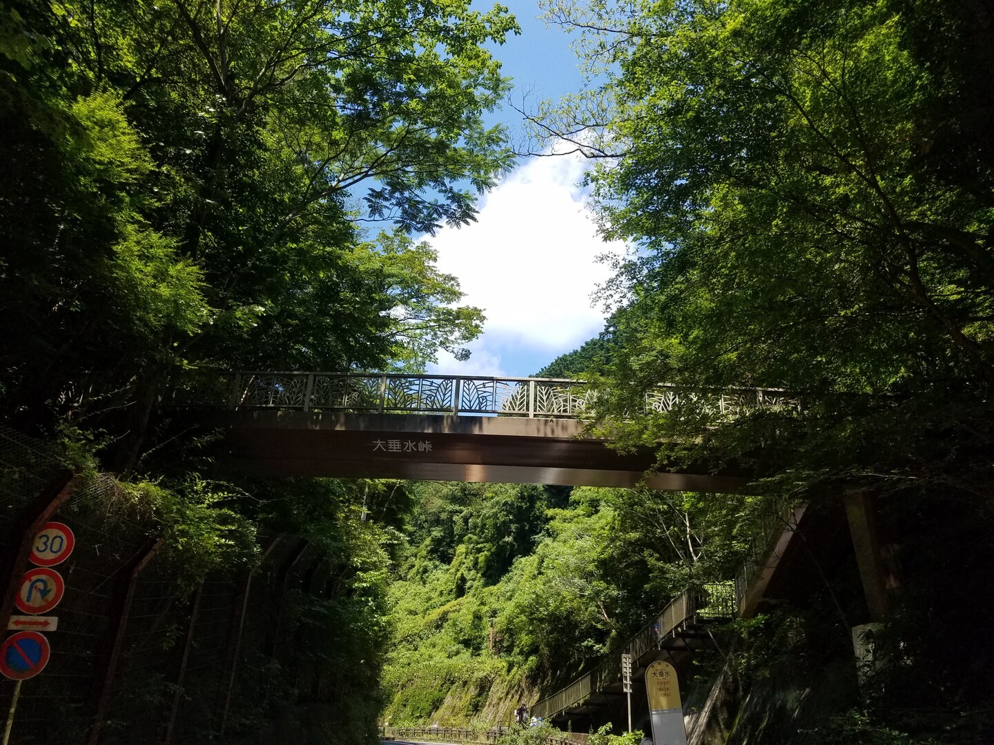 20210721 大垂水BS・南高尾山稜・榎窪山・東高尾山稜・四辻・金刀比羅尾根・高尾ST / hayakunさんの高尾山・陣馬山・景信山の活動日記 | YAMAP / ヤマップ